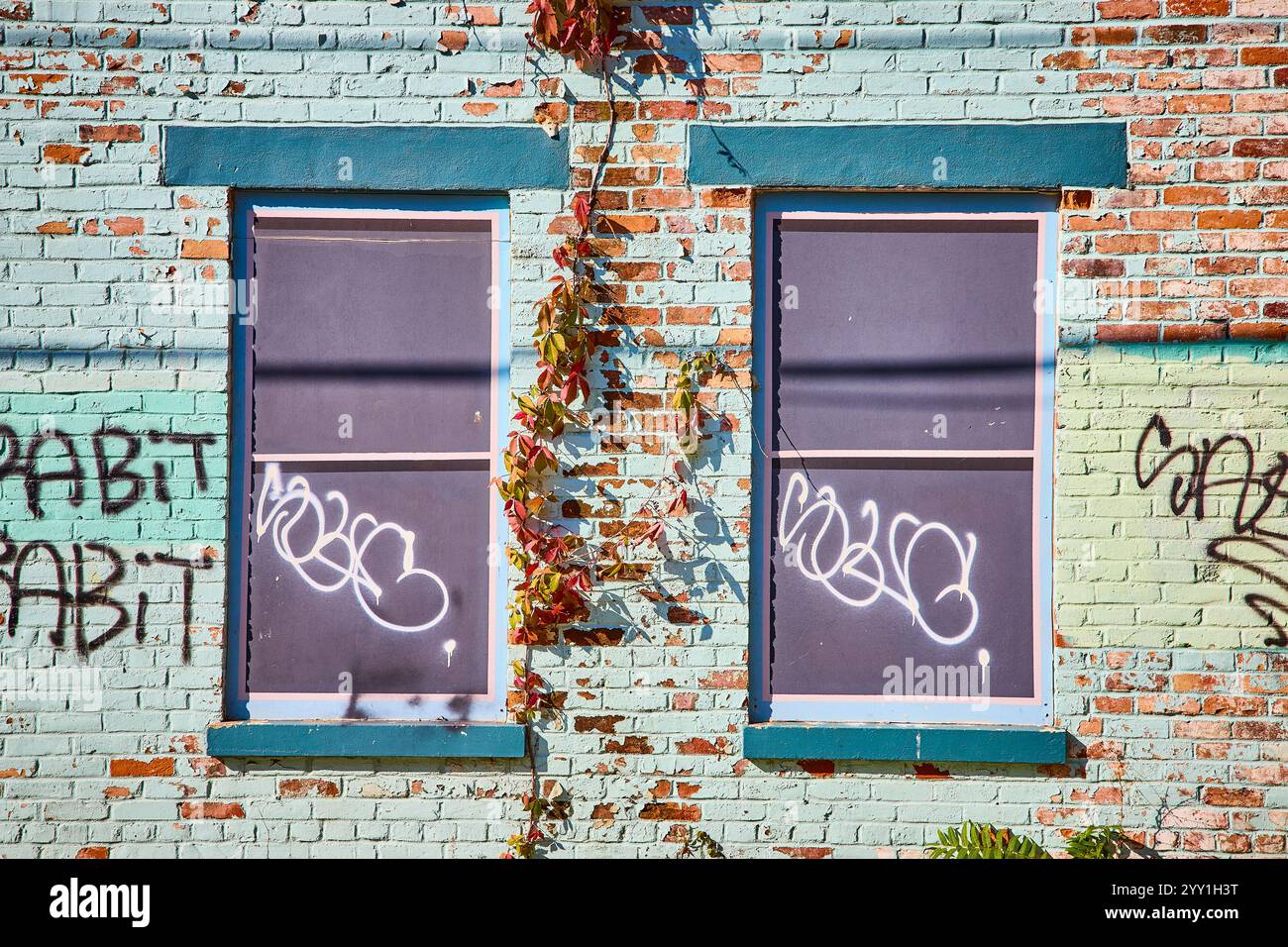 Urban Graffiti Brick Wall with Ivy in Cincinnati Eye-Level View Stock ...