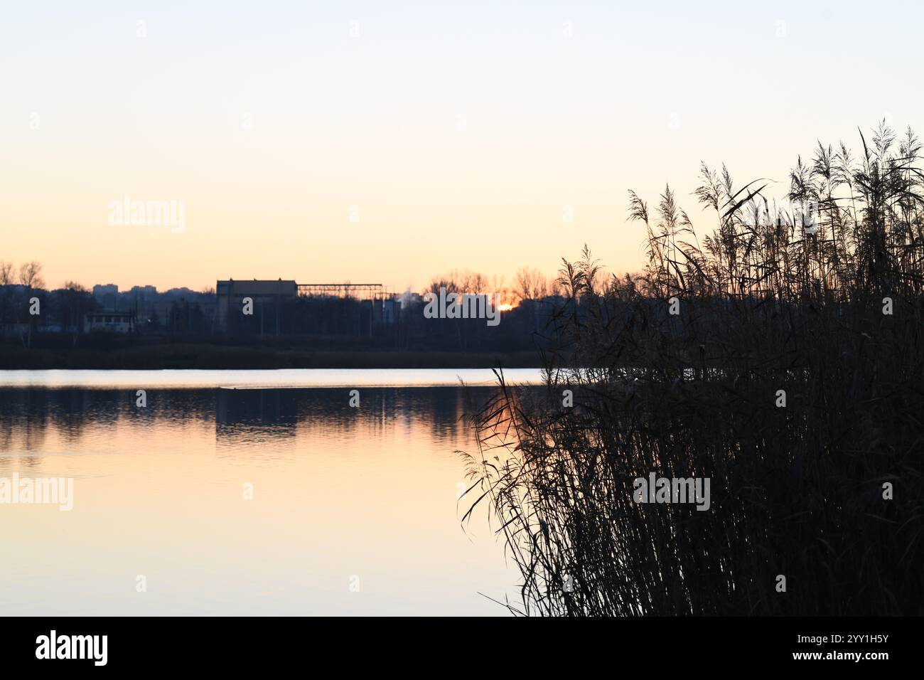 landscape at sunset with water reflection and silhouettes of plants in ...