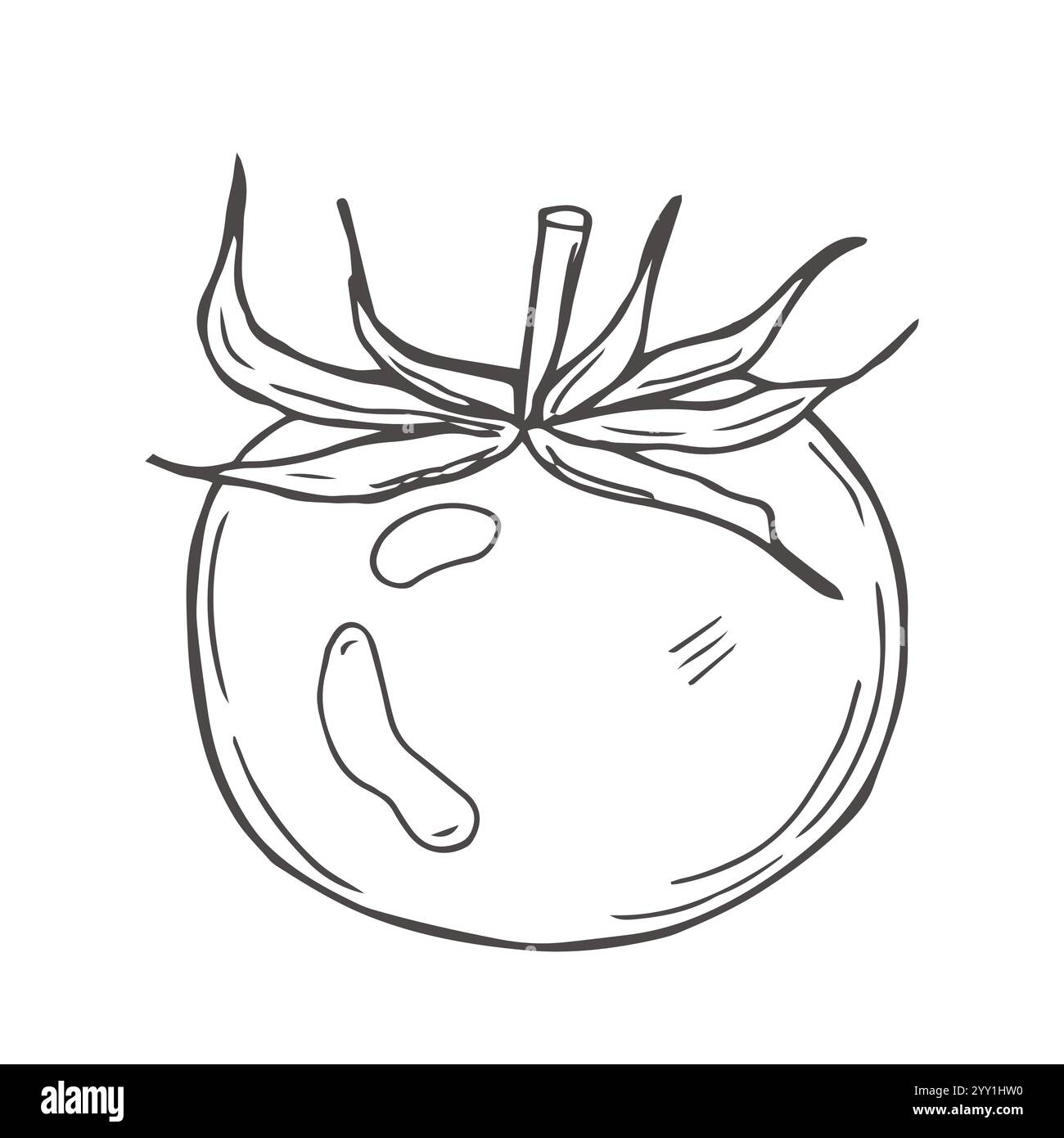 Hand drawn tomato set. Tomatoes, slices, halves, cherry tomatoes and ...