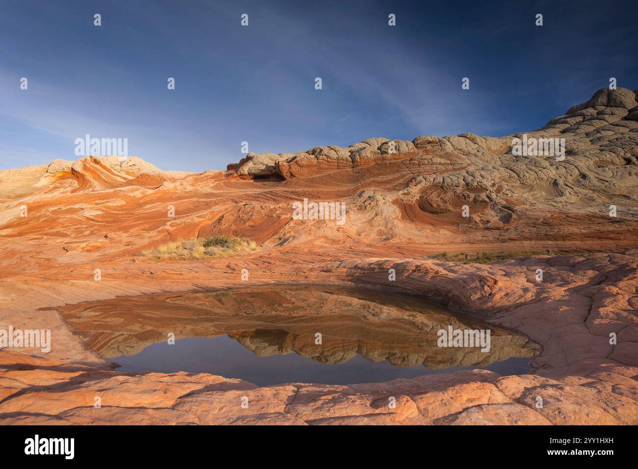 White pocket, hidden treasure in Vermilion - Arizona 25, USA Stock ...