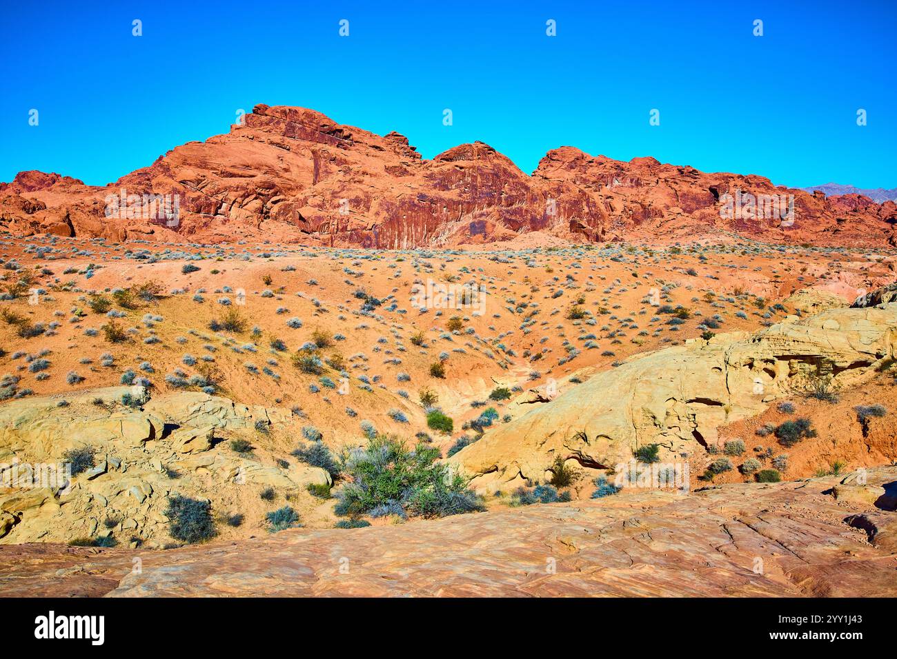 Valley of Fire Sandstone Formations and Desert Vegetation Eye-Level ...