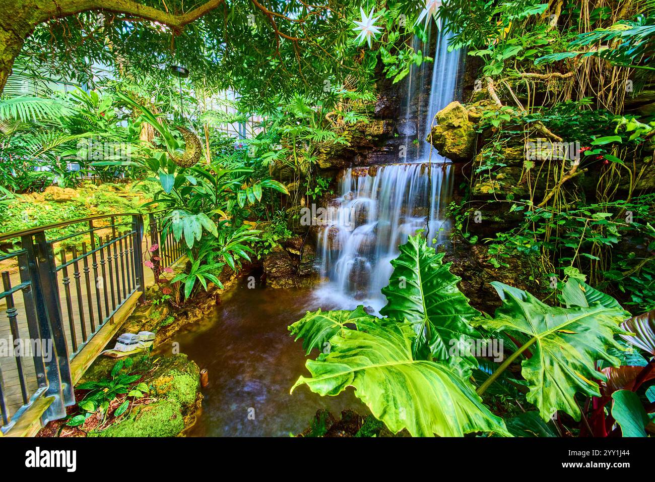 Tropical Waterfall Oasis in Conservatory Eye-Level View Stock Photo - Alamy