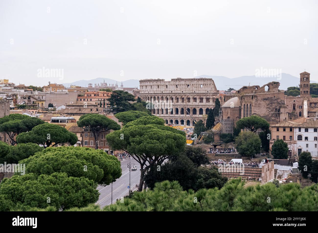 Beautiful View of Rome's Colosseum with Greenery, Ancient Buildings ...