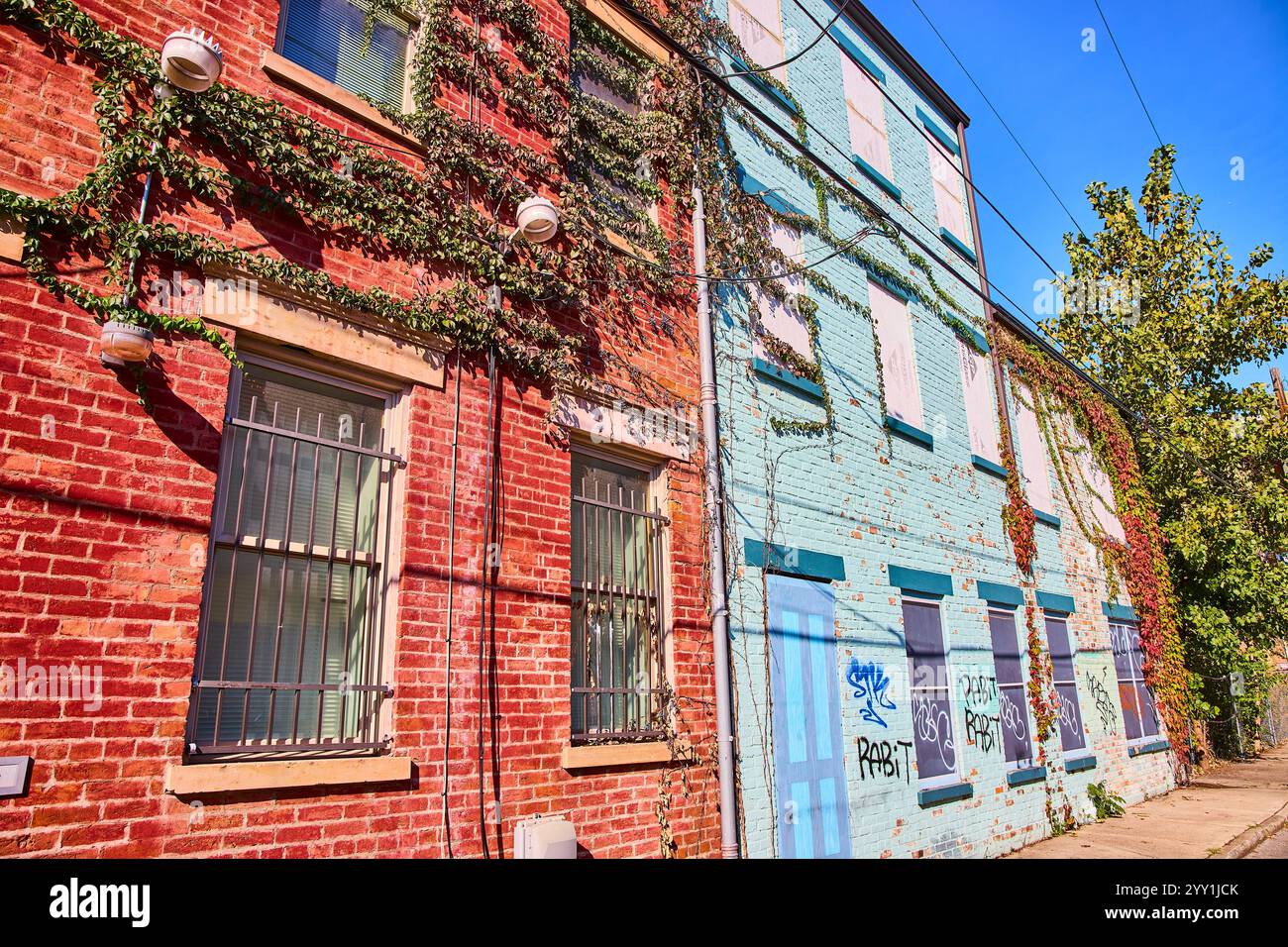Colorful Brick Facades with Ivy and Graffiti in Urban Cincinnati Street ...