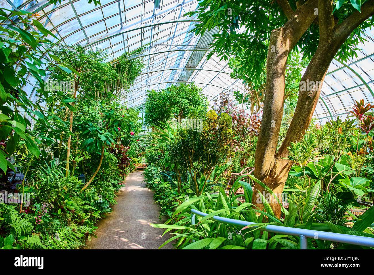 Tropical greenhouse pathway vibrant hi-res stock photography and images ...