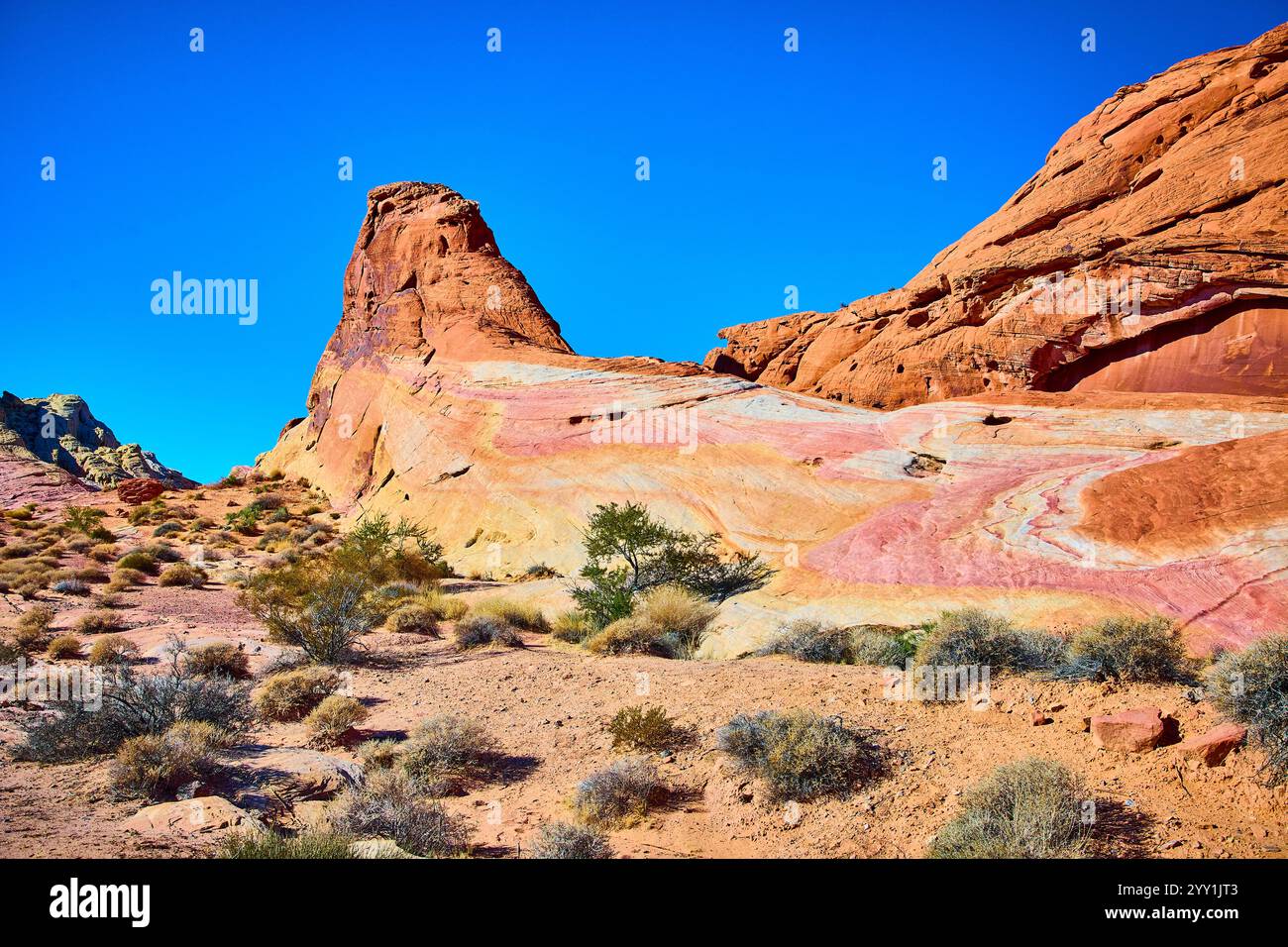 Red Sandstone Formations and Desert Shrubs Low Angle in Valley of Fire ...