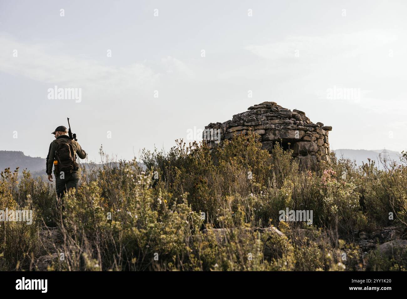 Back man walking tall grass hi-res stock photography and images - Alamy