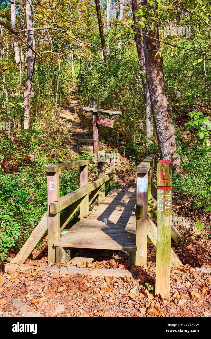 Cedar Trail Bridge in Mt. Airy Forest Autumn Walkway Perspective Stock ...