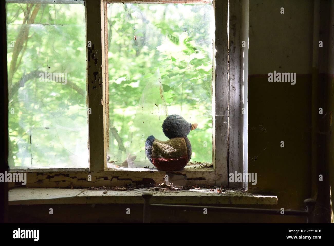 Chernobyl Exclusion Zone, Ukraine Stock Photo - Alamy
