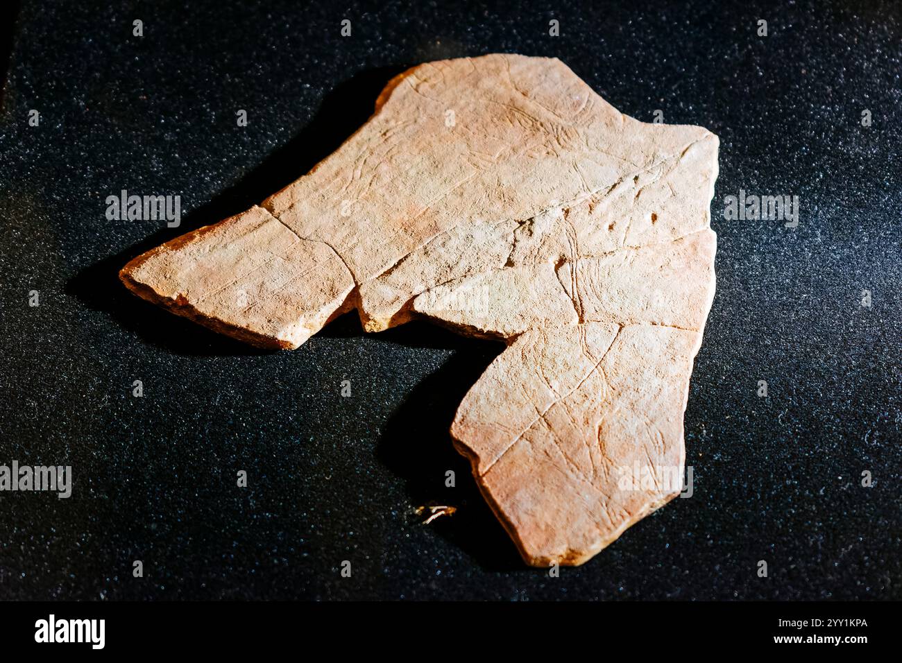 Ekain Plate. The decorated plate from Ekain is an important piece of ...