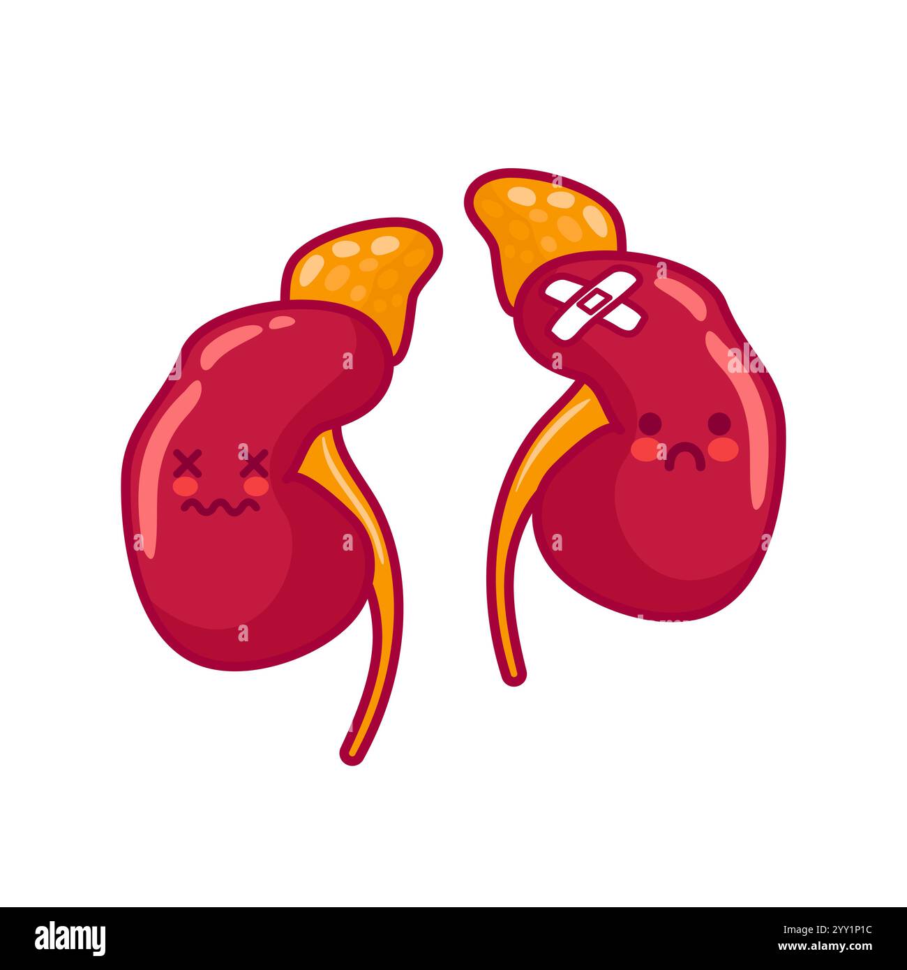 Urinary System Clipart Urinary System Icon In Vector. Logotype