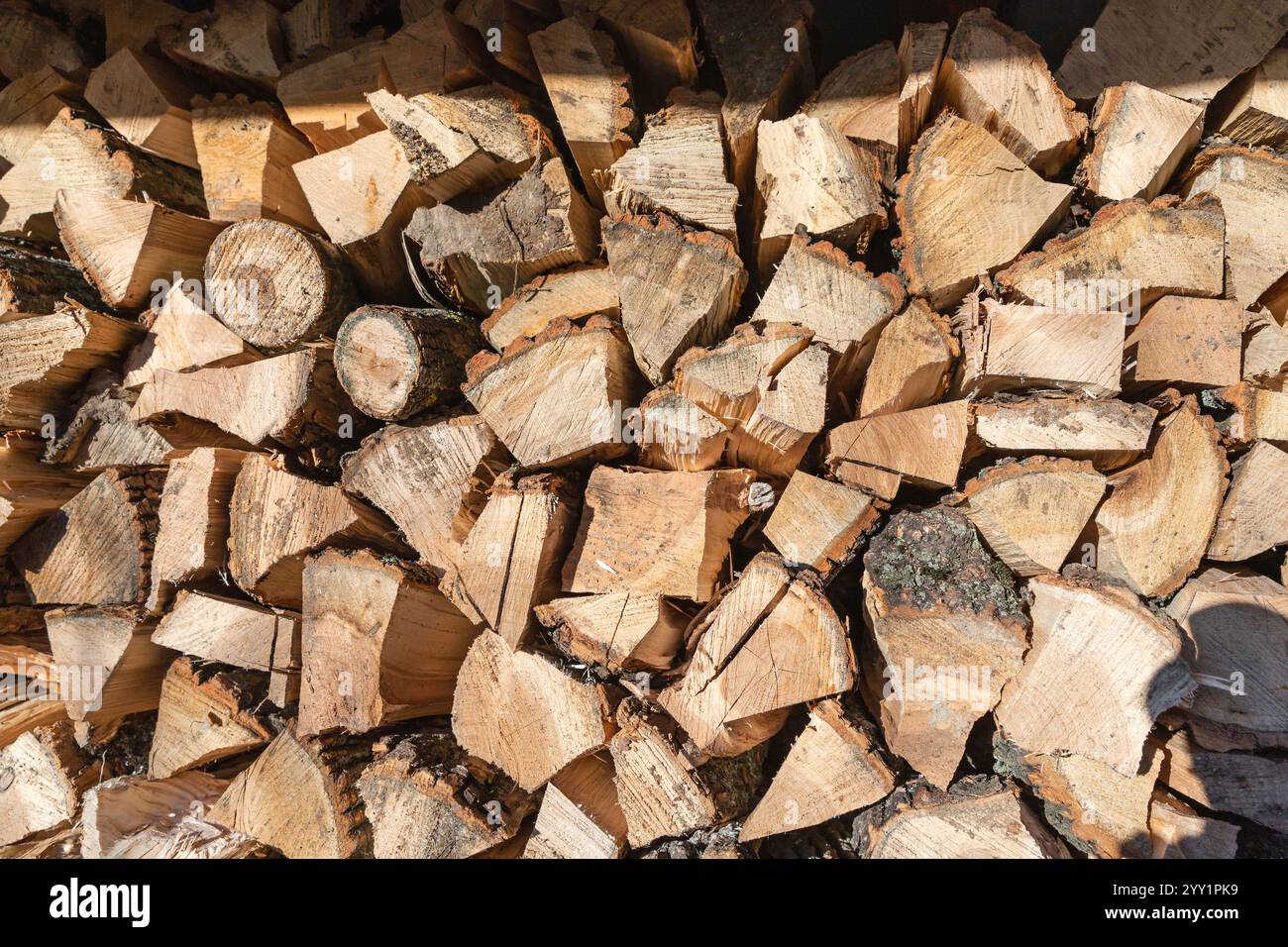Stacked firewood logs in warm sunlight, close-up view of chopped ...