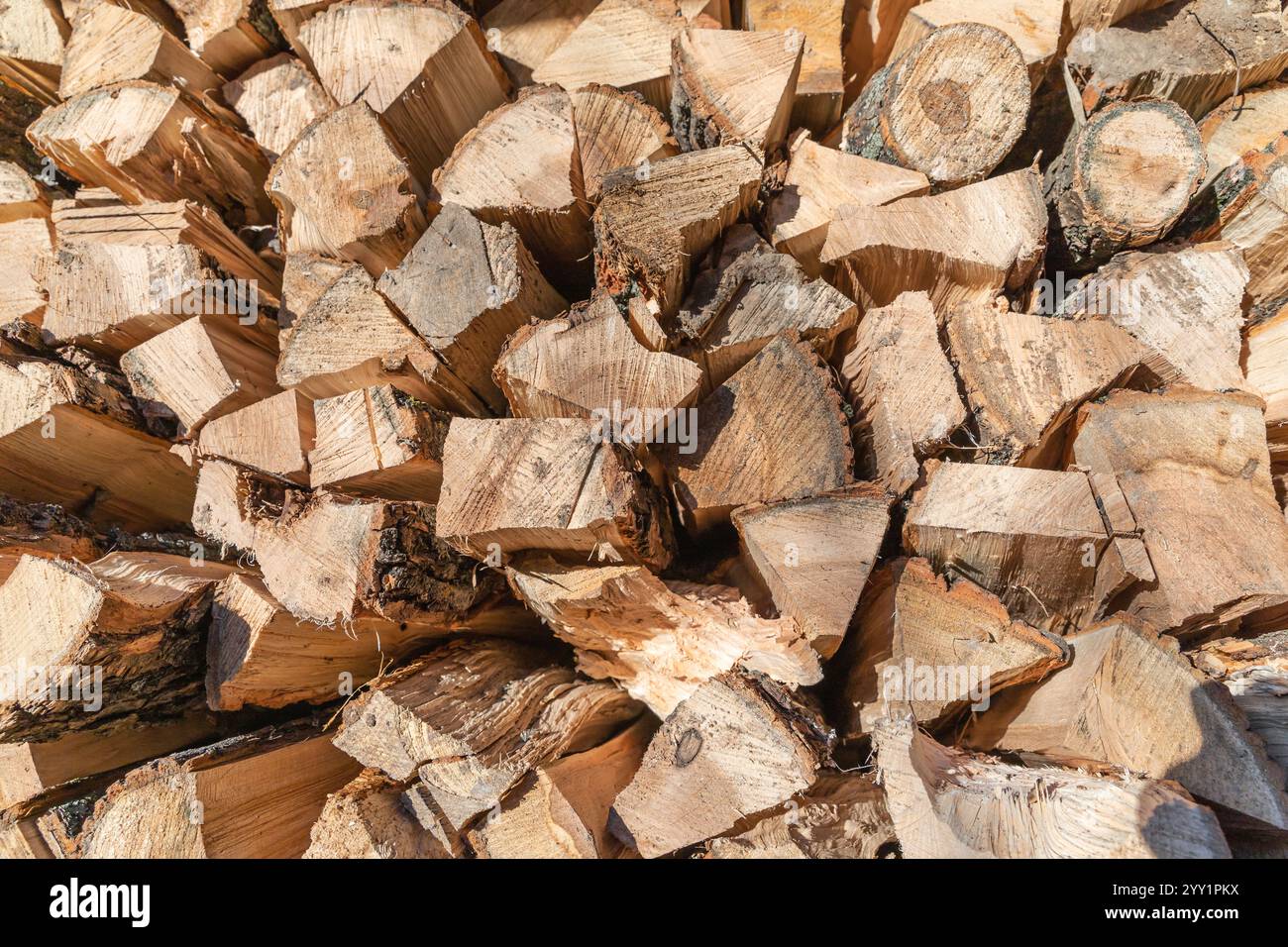 Stacked firewood logs in warm sunlight, close-up view of chopped ...