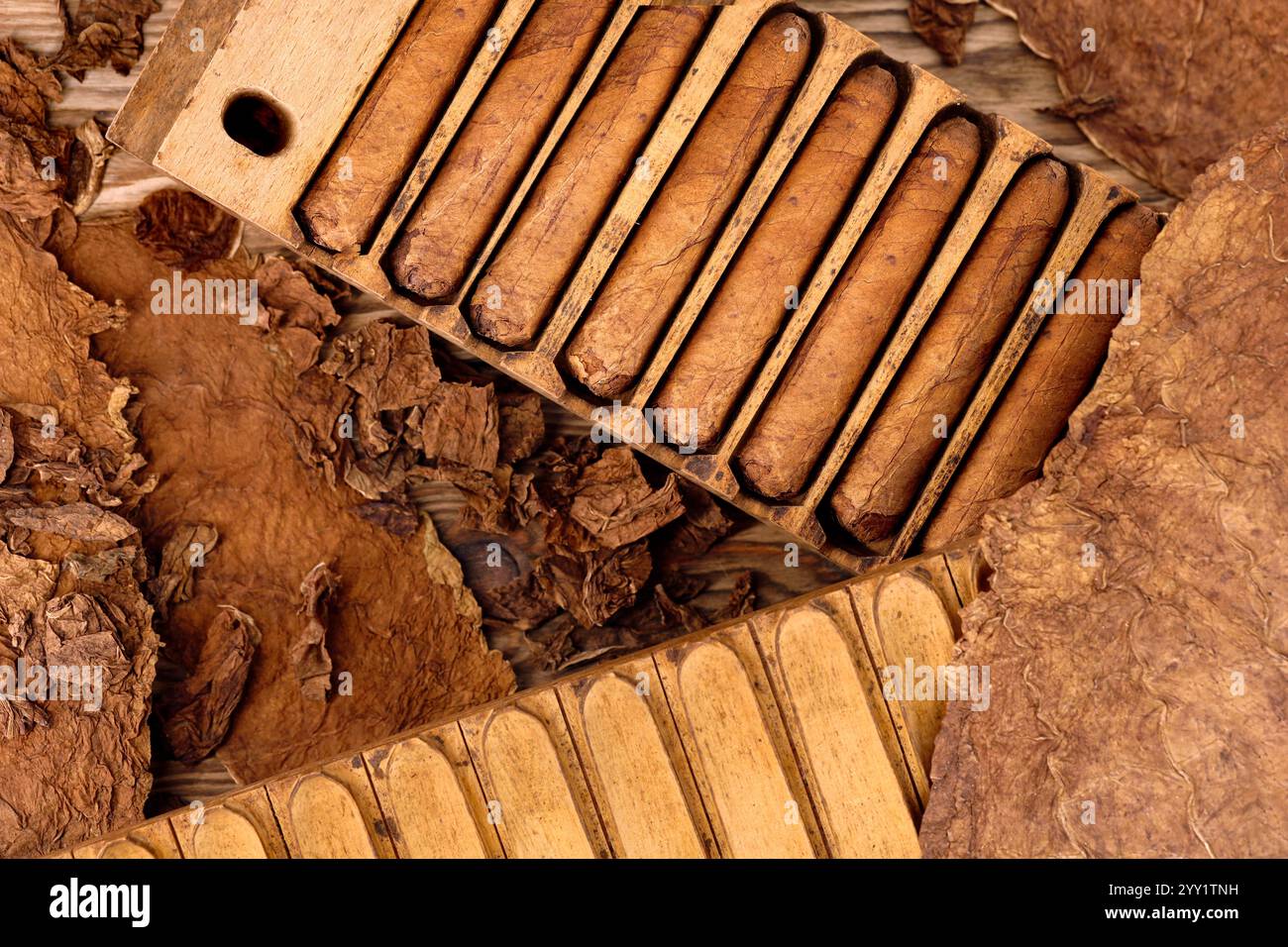 Tobacco process virginia hi-res stock photography and images - Alamy