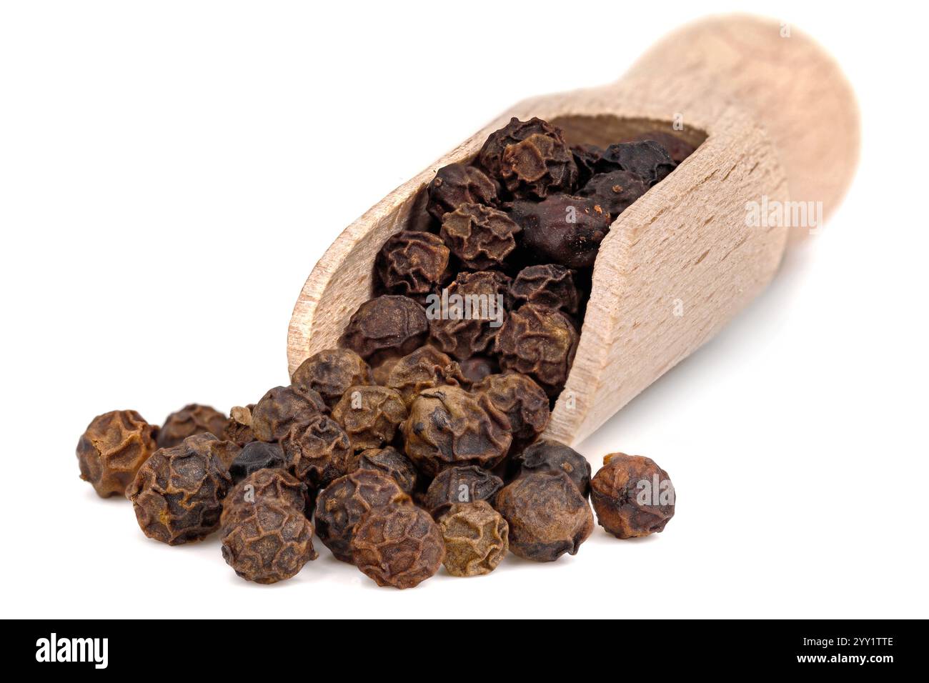 Gol morich hi-res stock photography and images - Alamy