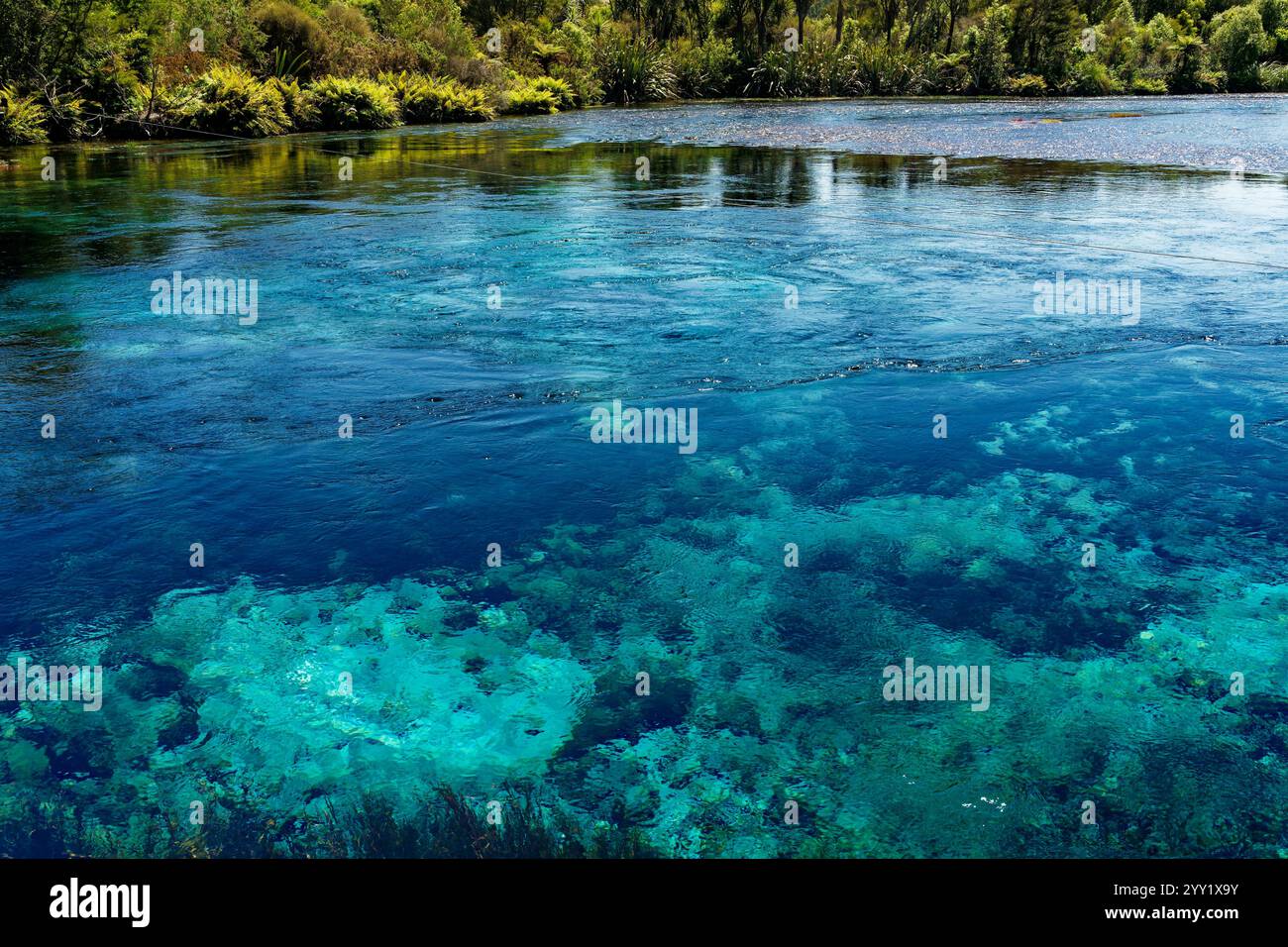 Maori people hi-res stock photography and images - Alamy