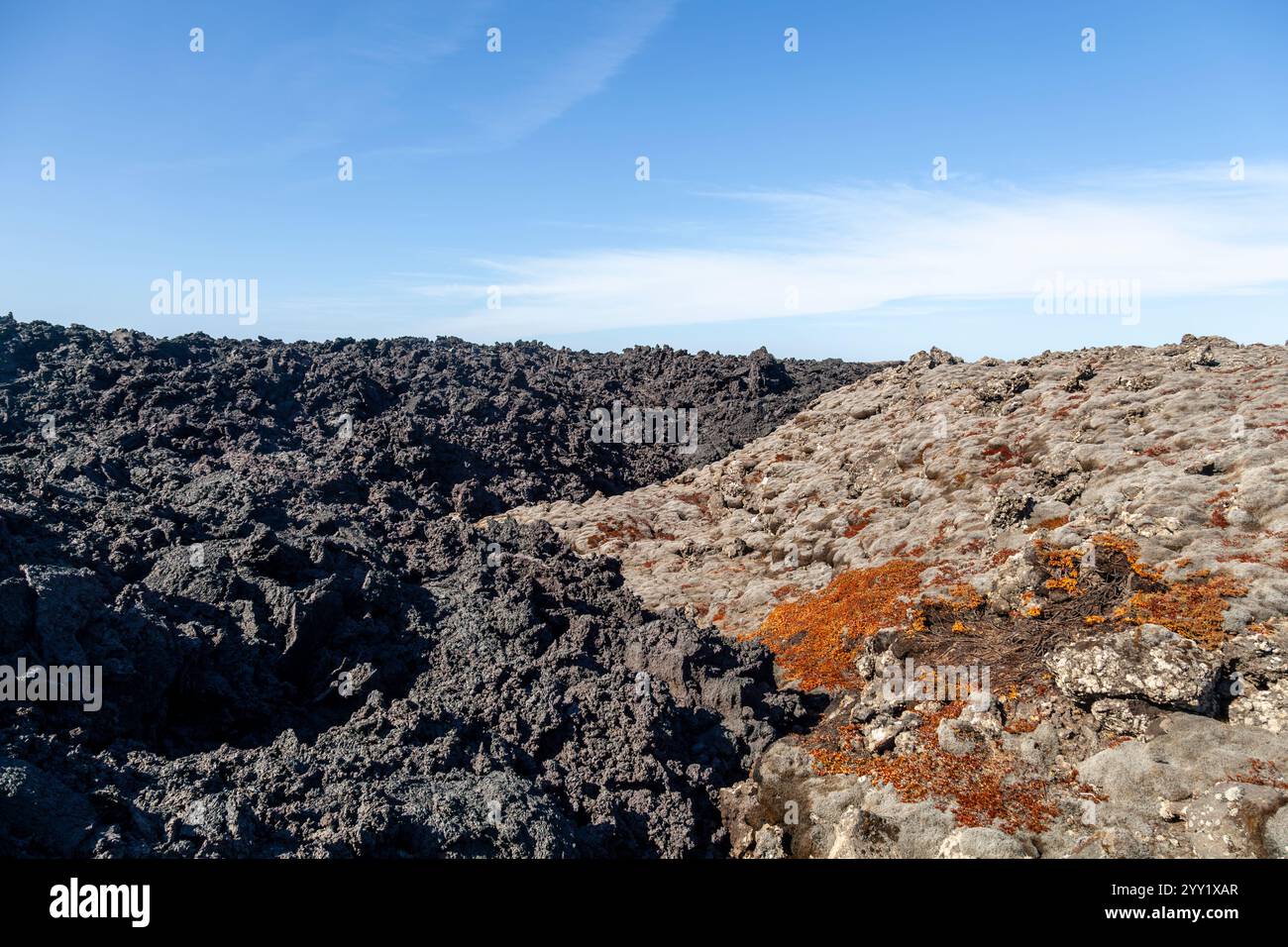 Icelandic lava field on the Reykjanes Peninsula with two different ages ...