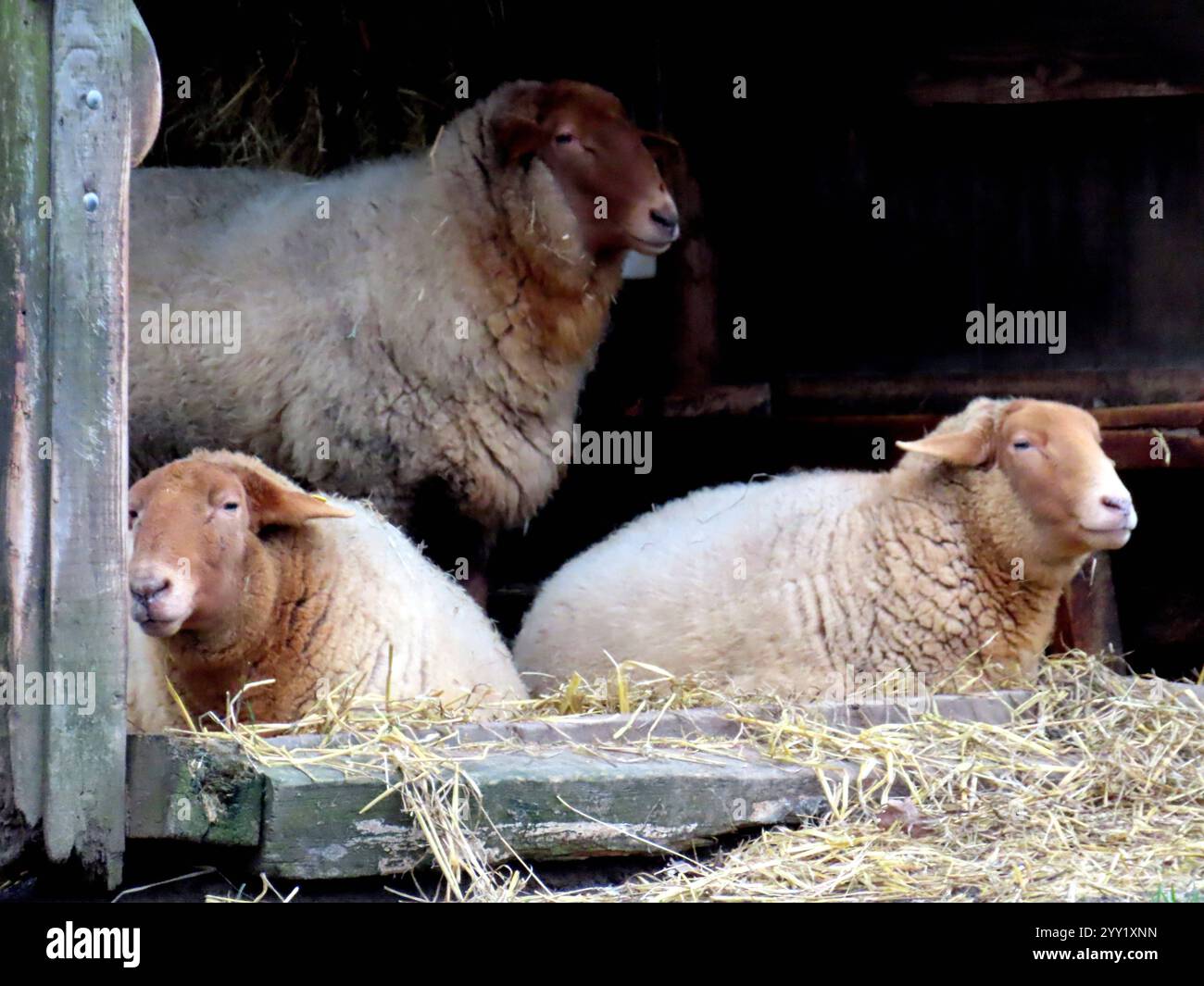 ...die Herrschaften haben alle Zeit der Welt und genießen ihren ...