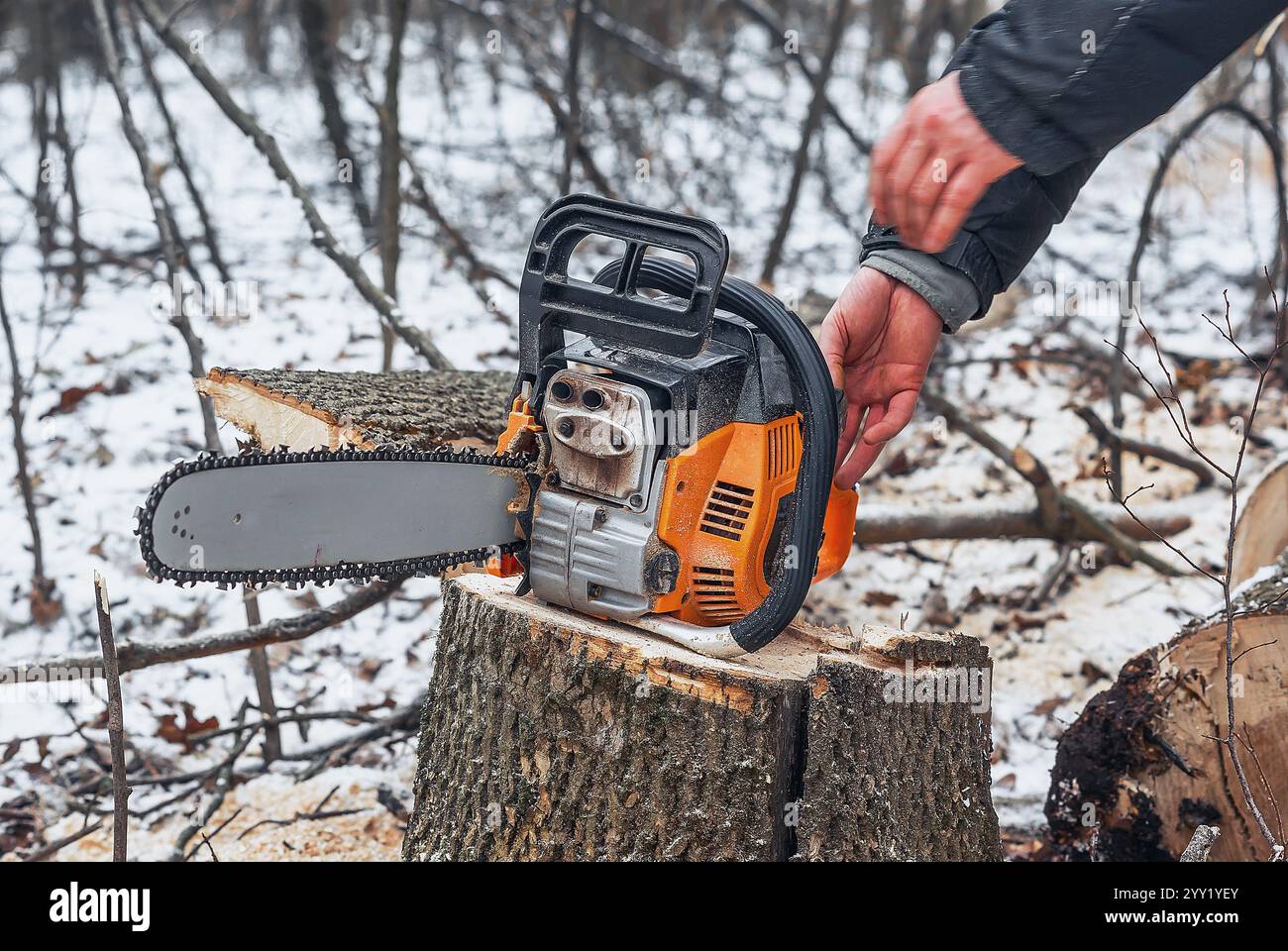Chainsaw in the forest on a stump Stock Photo - Alamy