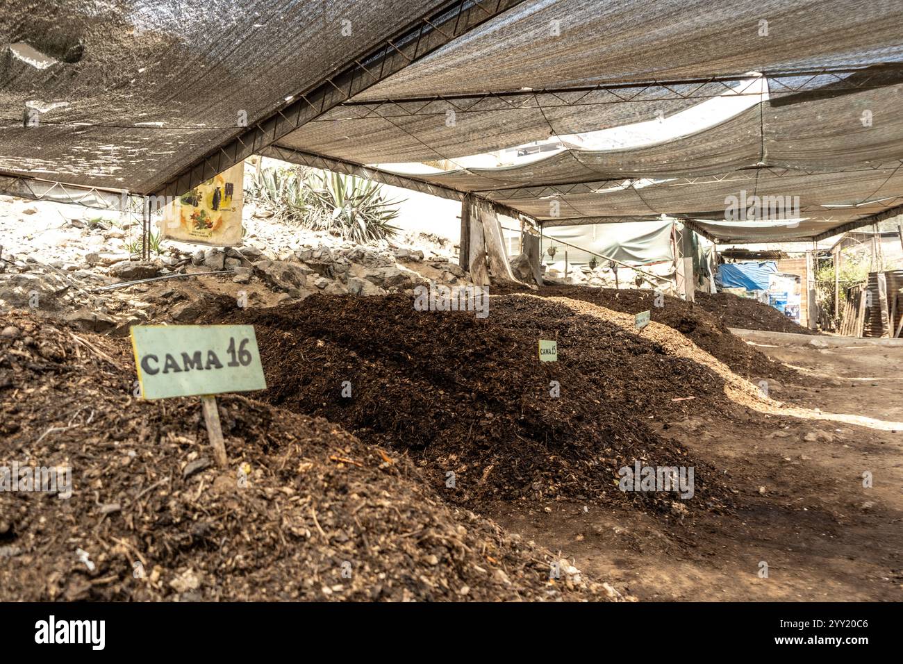 Compost Beds in a Sustainable Farming Setup under a Roof with “Cama 16 ...