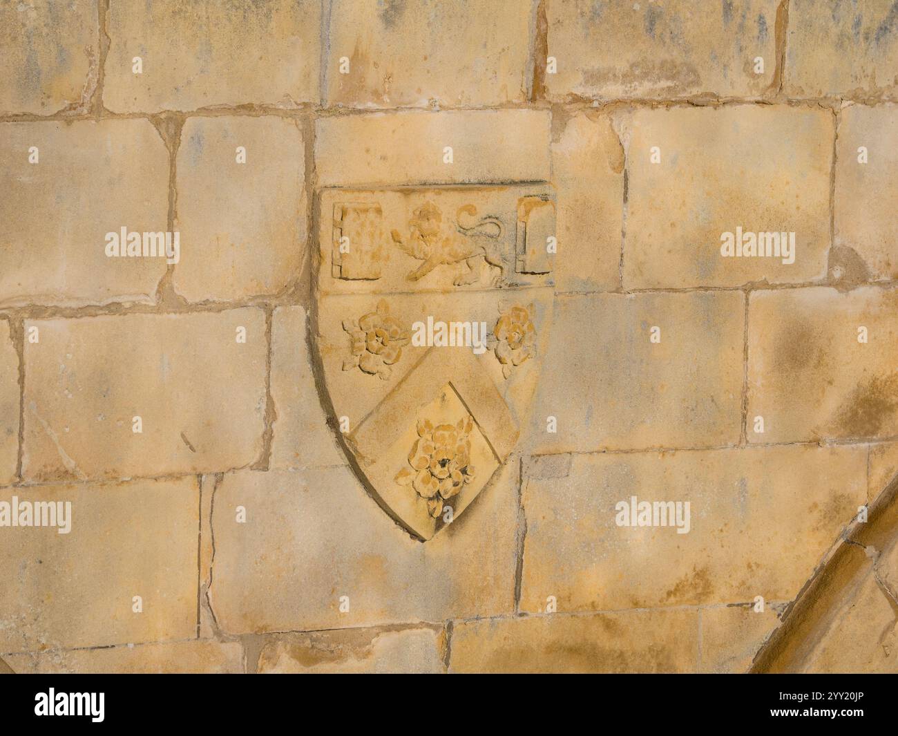The Trinity Bridge, River Cam, Trinity College, University of Cambridge ...
