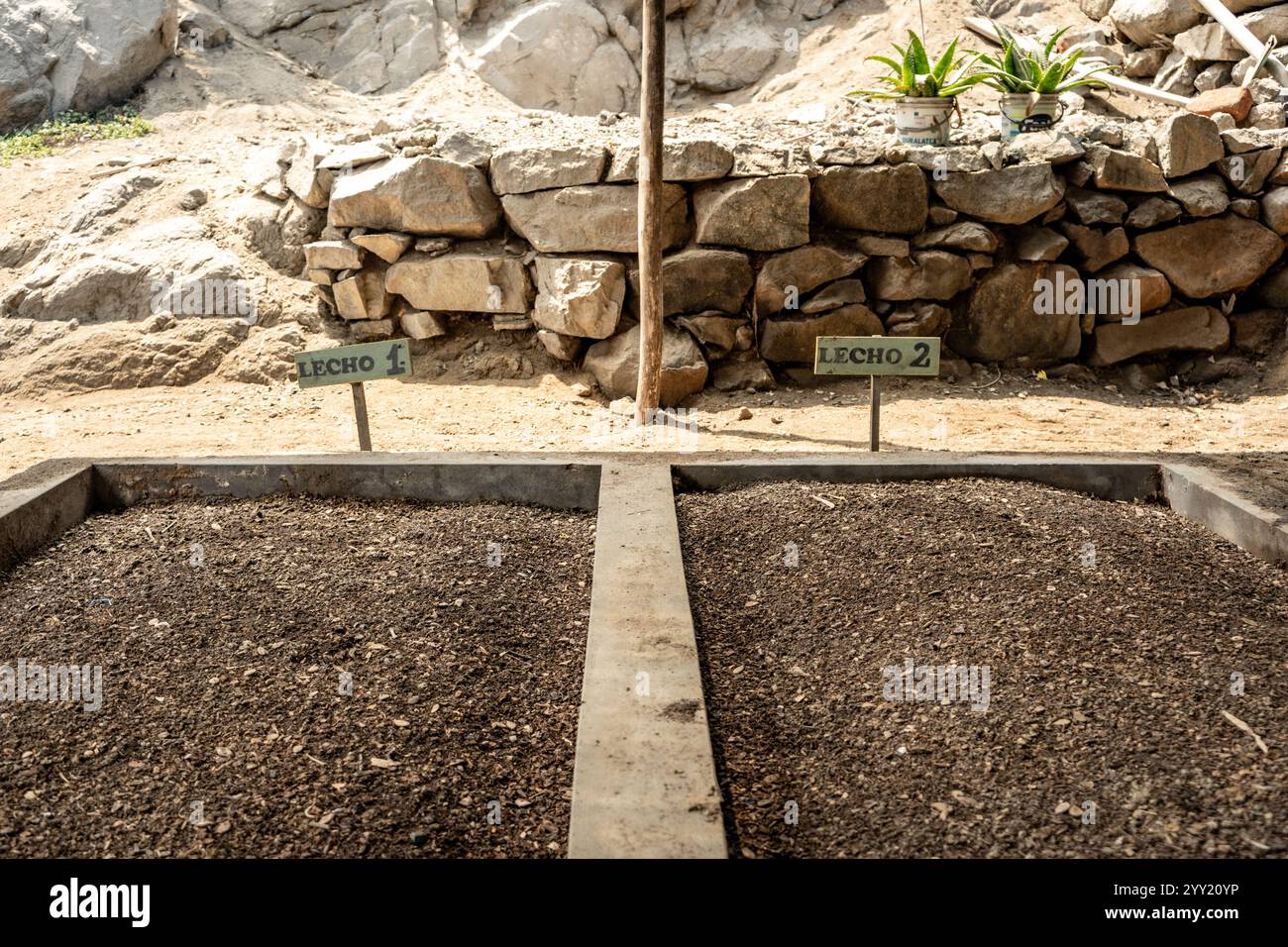Concrete Compost Pits with “Lecho 1” and “Lecho 2” Signs (Pit 1 and 2 ...