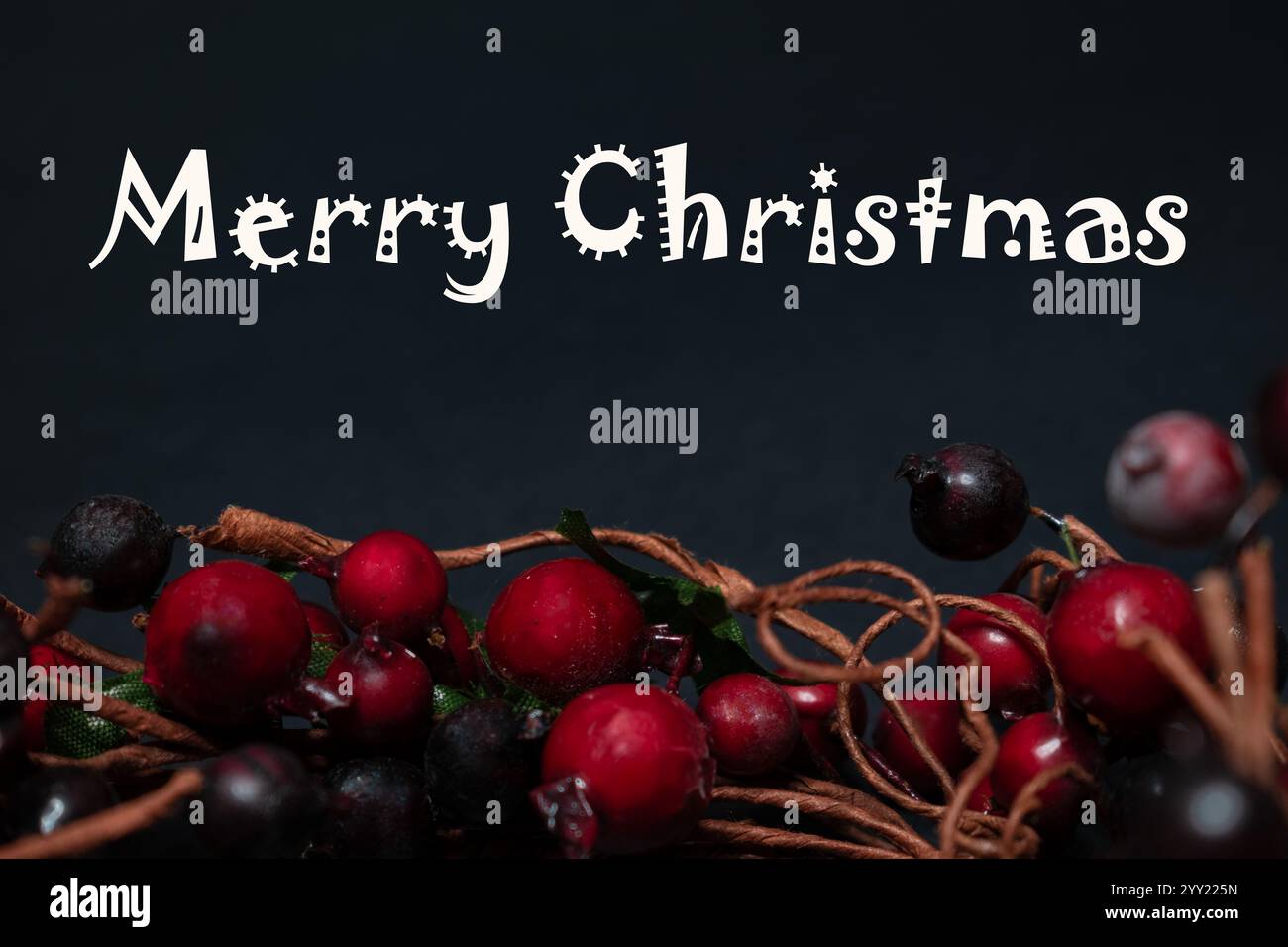 Mistletoe red berries with wooden branches on the bottom of a dark ...