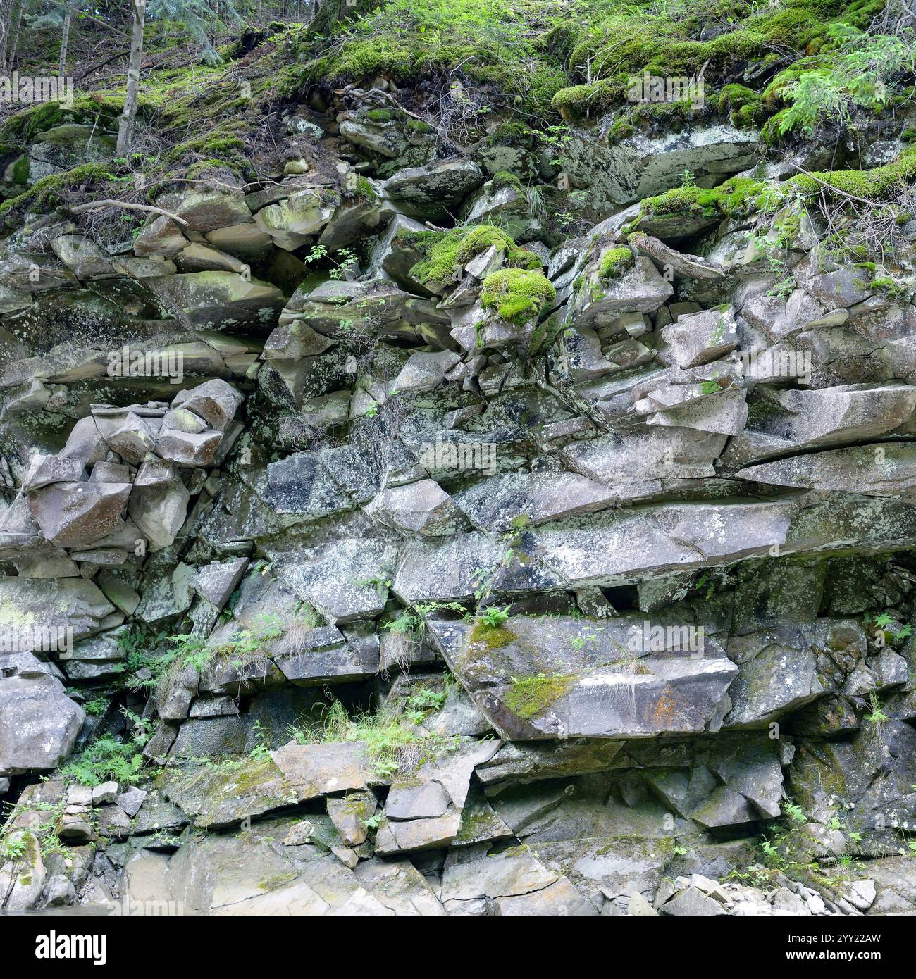 Geological section of igneous rocks close-up Stock Photo - Alamy