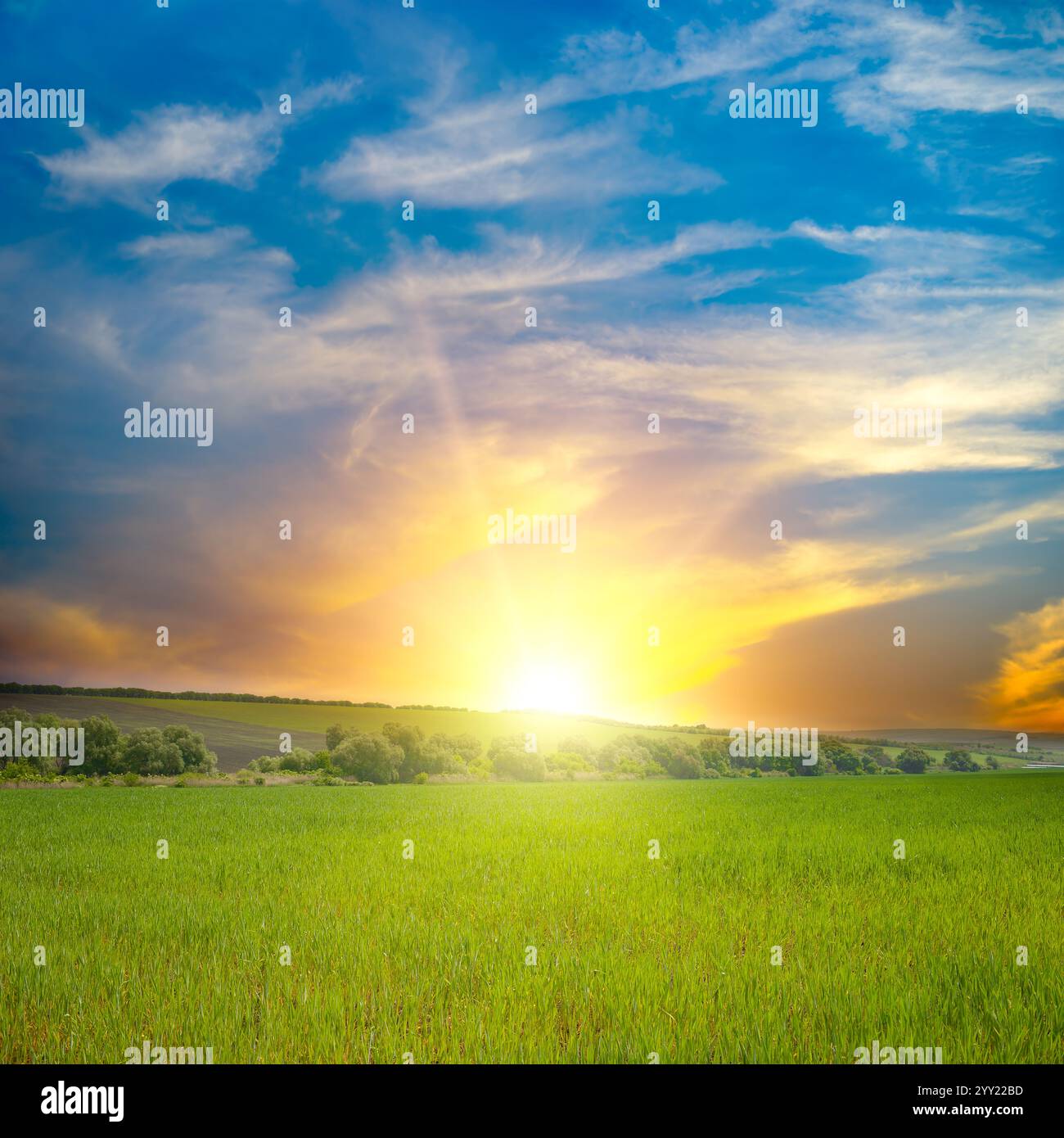 Nature sunrise over green meadow hi-res stock photography and images ...