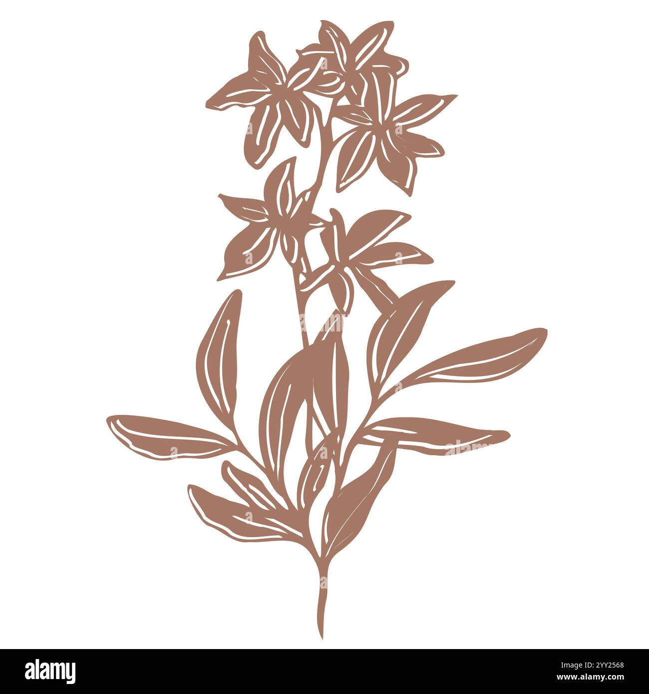 Minimalistic vector botanical illustration. bouquet with hand drawn ...