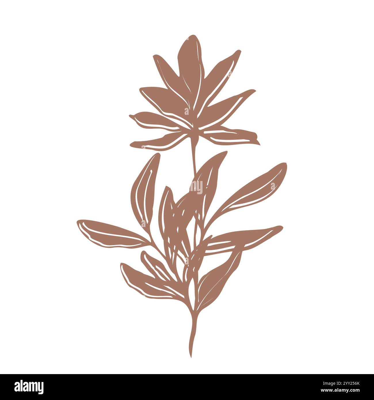 Showcasing elegant leaves Cut Out Stock Images & Pictures - Alamy