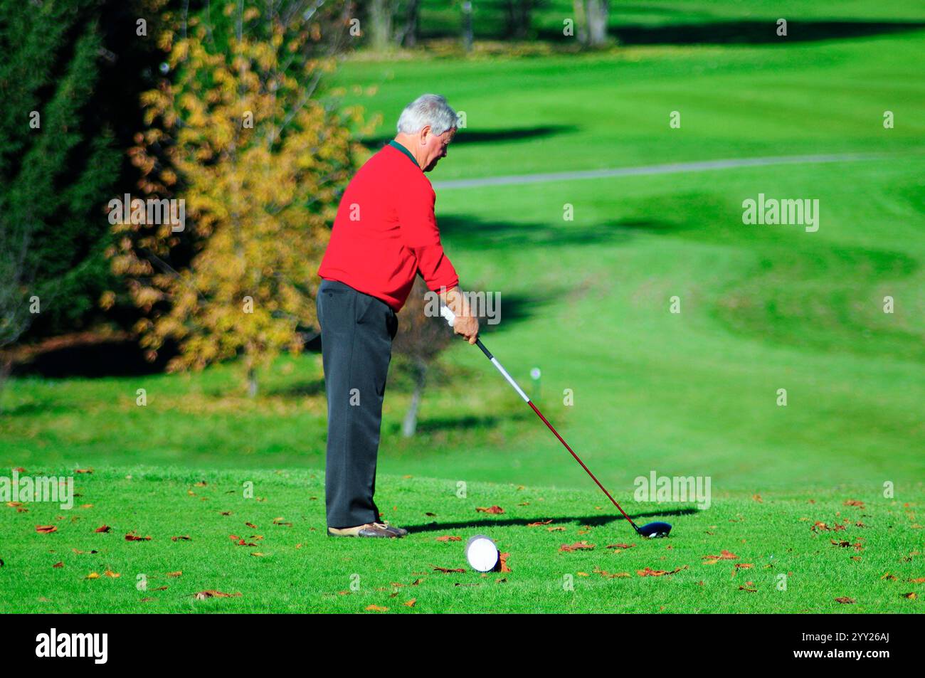 older man enjoys his age older one enjoys his age Stock Photo - Alamy