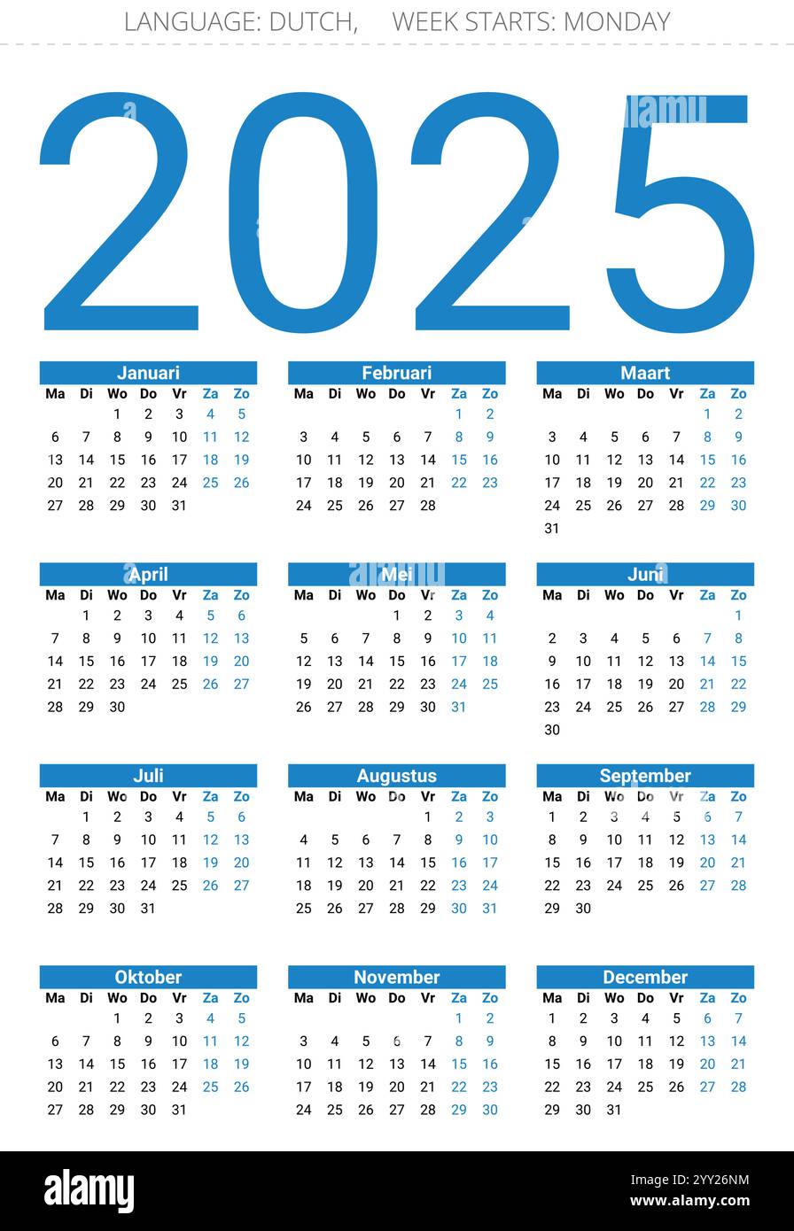 2025 year dutch calendar. Vector illustration. 12 months kalender for ...