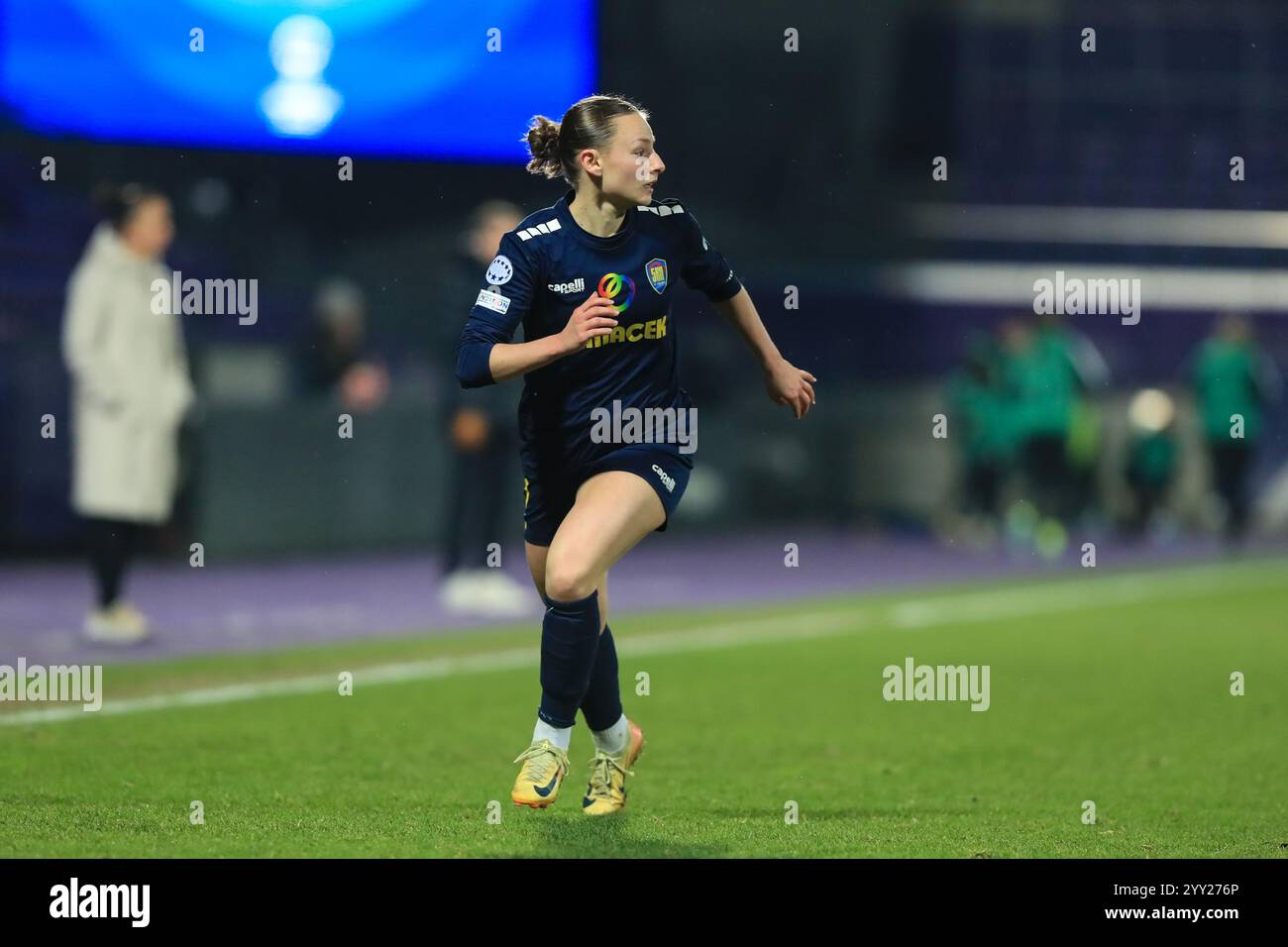 Vienna, Austria. 18th Dec, 2024. Vienna Austria, December 18th, 2024 ...