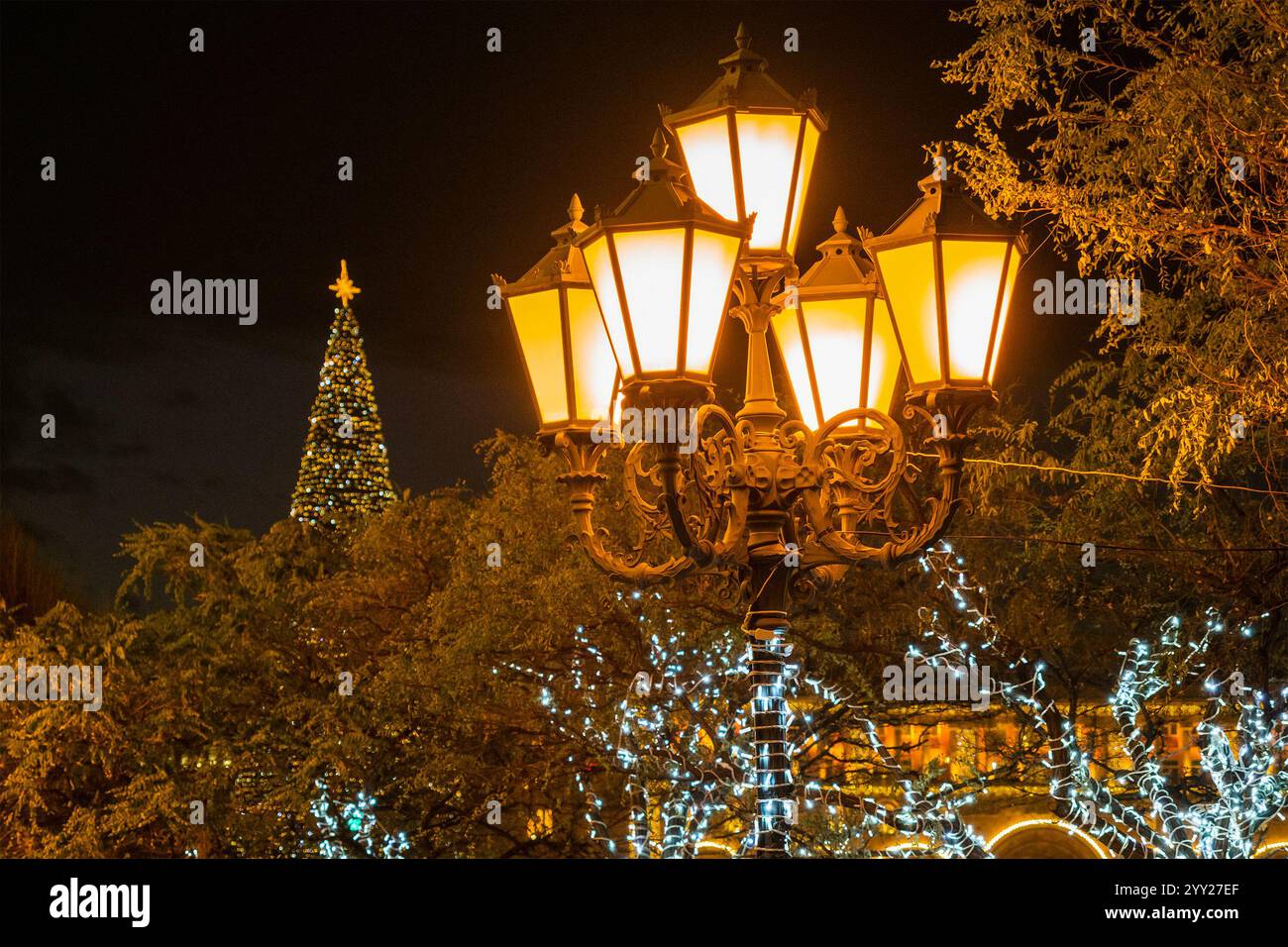 urban outdoor lamps and top of Christmas tree in Yerevan city in winter ...