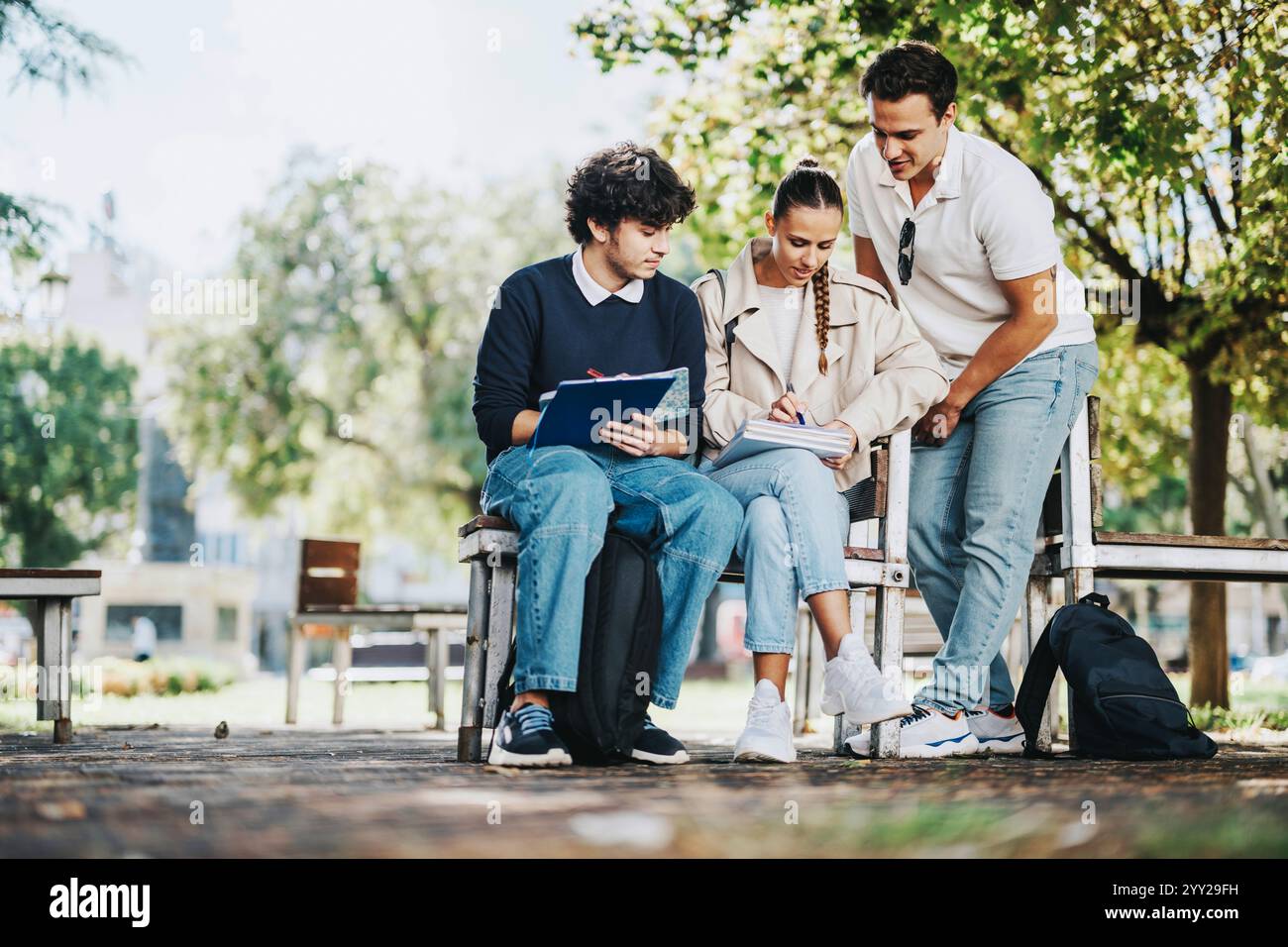 Group of college students studying together in a sunny park Stock Photo ...