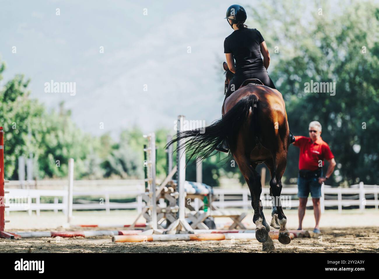 Equestrian training with a rider practicing horse jumping outdoors ...
