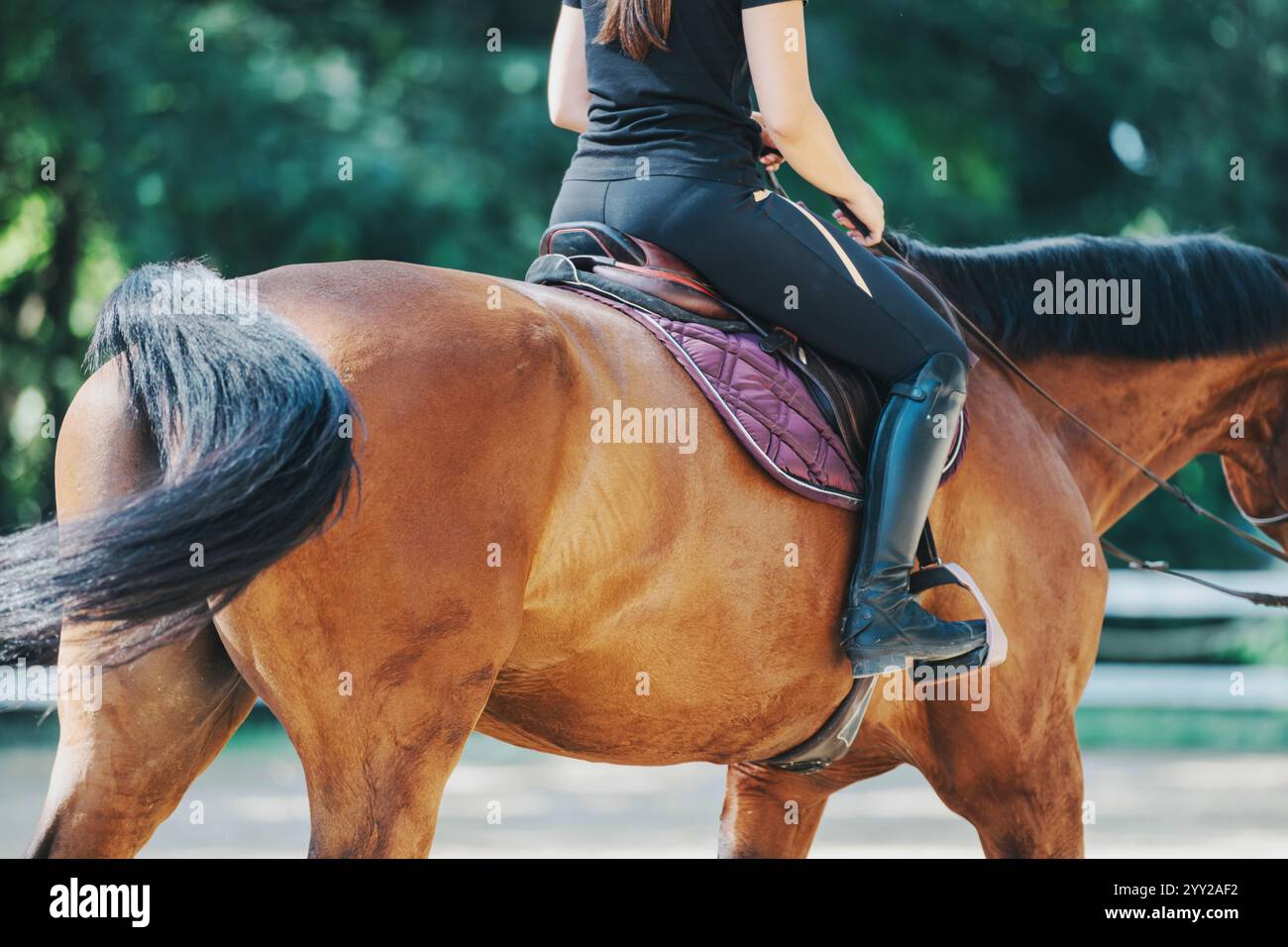Woman horseback riding in nature with leather boots and brown saddle ...