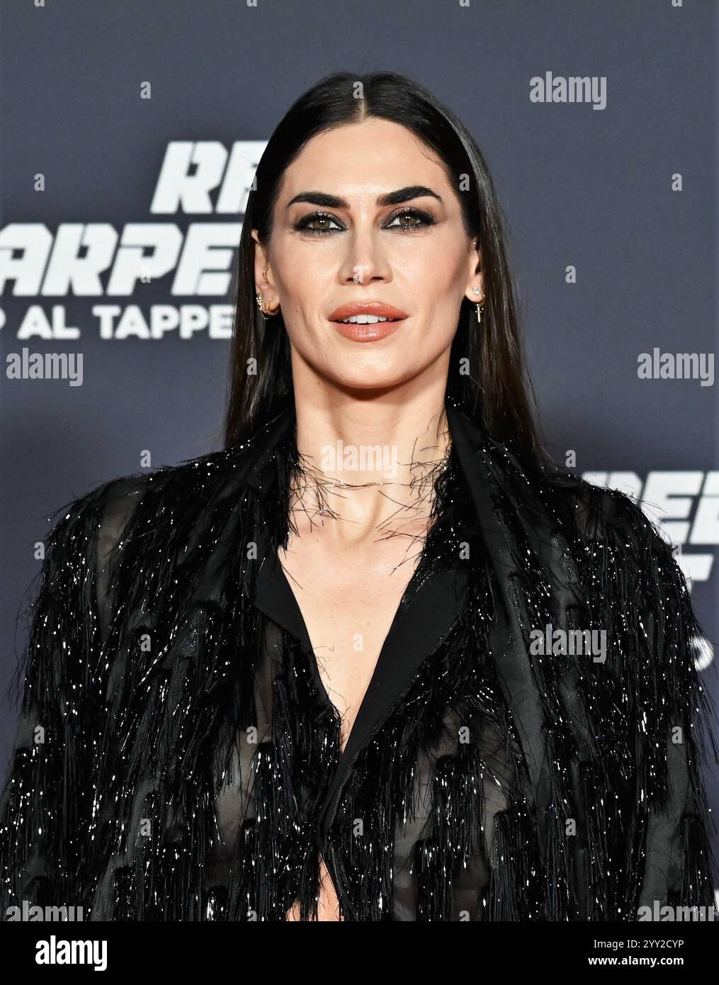 Milan, Italy. 17th Dec, 2024. Milan, Italy RED CARPET VIP AL TAPPETO ...