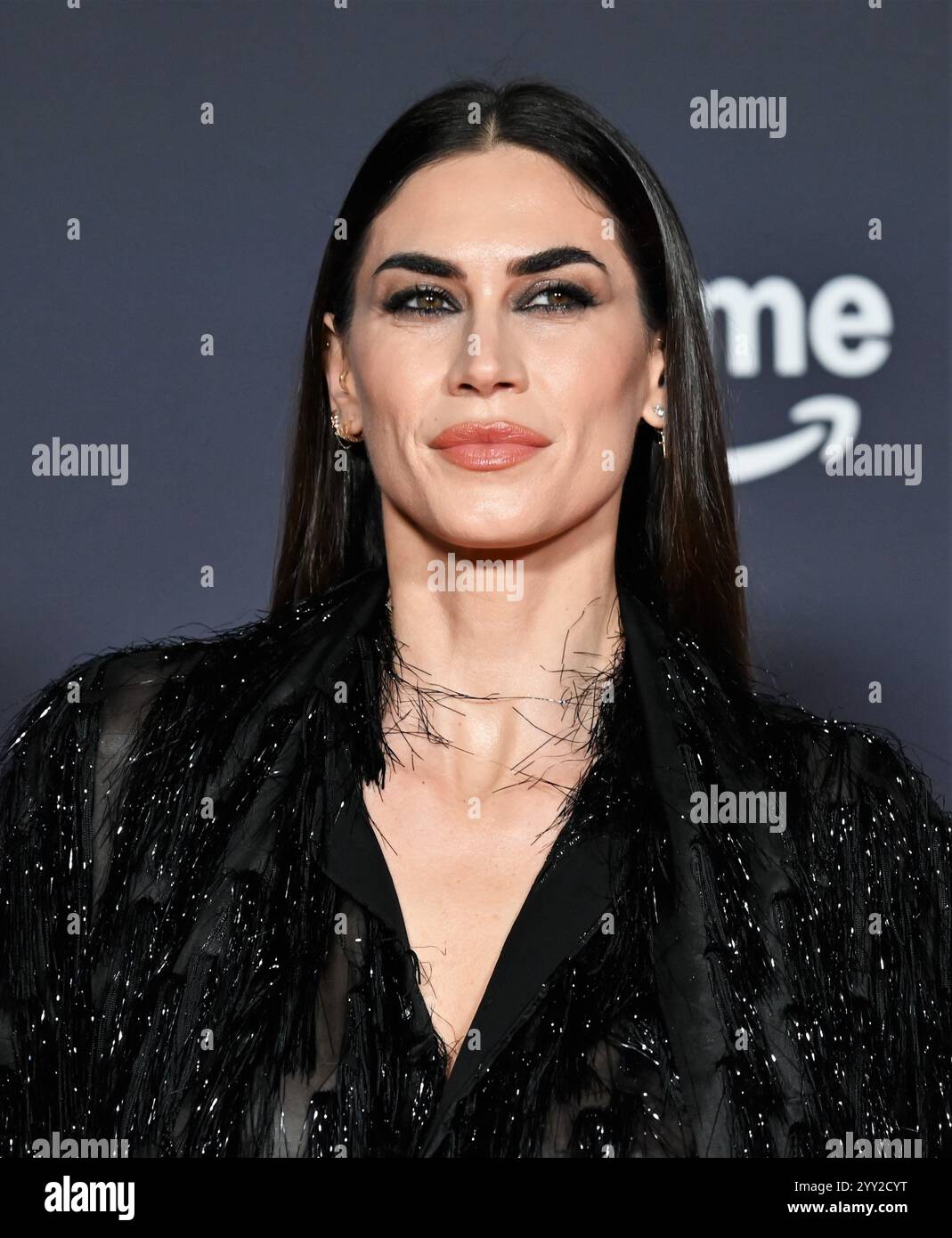Milan, Italy. 17th Dec, 2024. Milan, Italy RED CARPET VIP AL TAPPETO ...