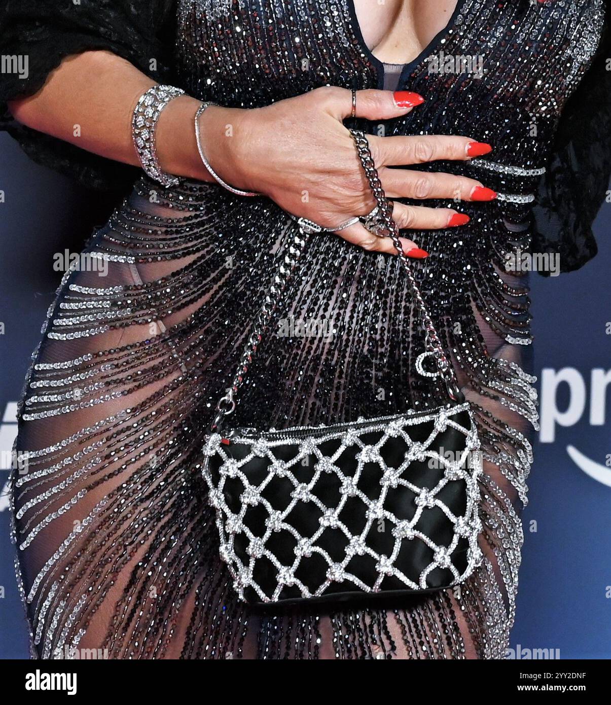 Milan, Italy. 17th Dec, 2024. Milan, Italy RED CARPET VIP AL TAPPETO ...