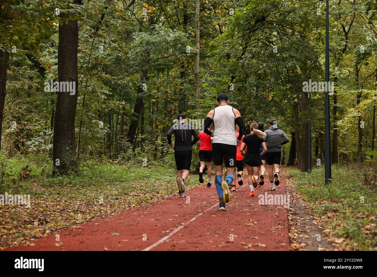 Group of people jogging together in park, back view Stock Photo - Alamy
