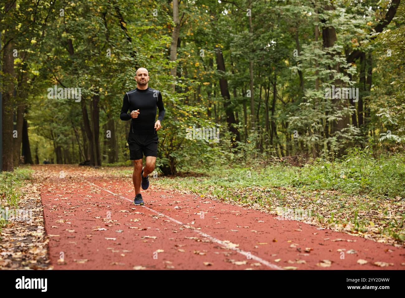 Athletic man running in park hi-res stock photography and images - Alamy
