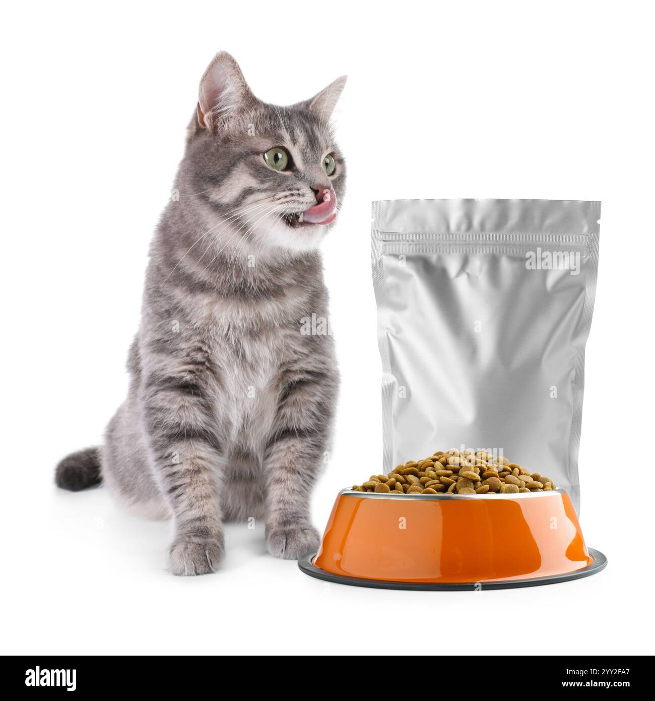 Cute cat sitting near foil package and bowl of dry pet food on white ...