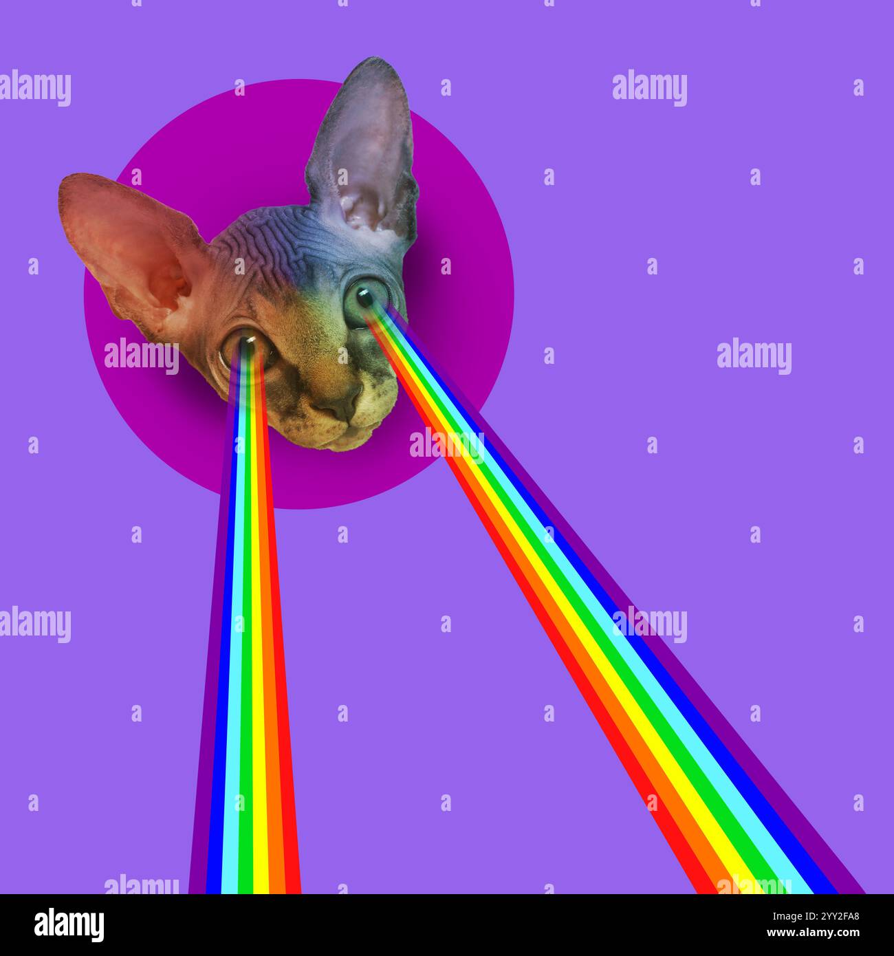 Cat shooting with rainbow lasers from eyes on dark violet background ...