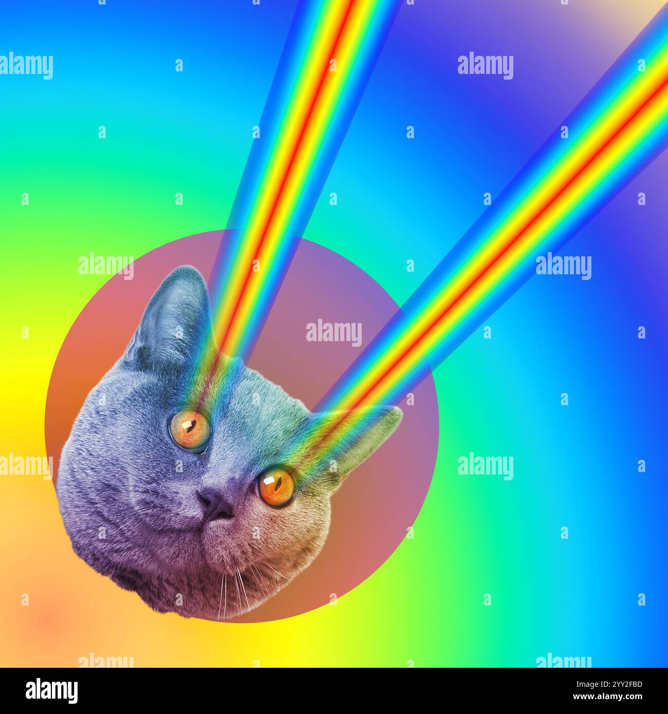 Rainbow lasers hi-res stock photography and images - Alamy