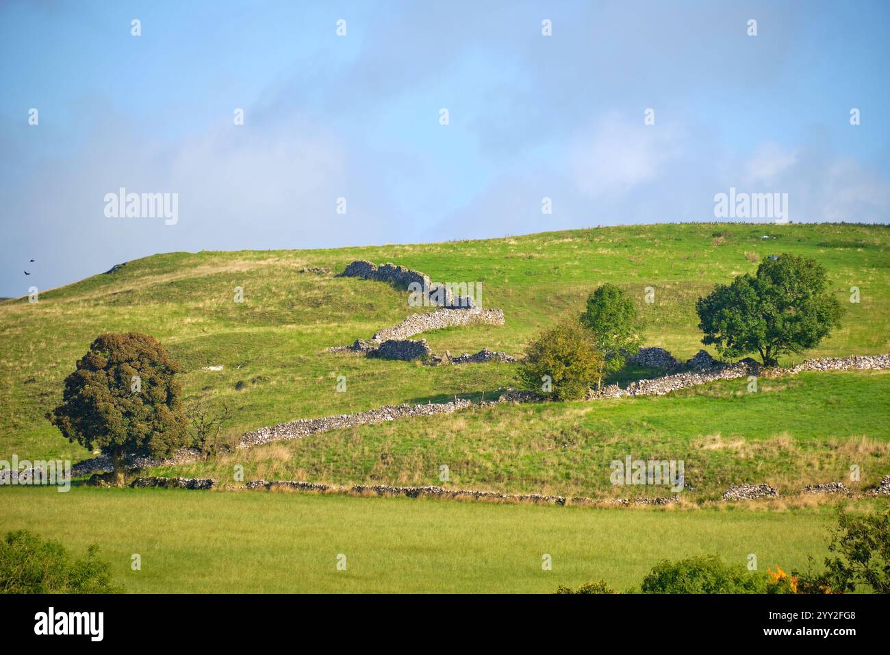 Dry stone walls in a rural farm field Stock Photo - Alamy