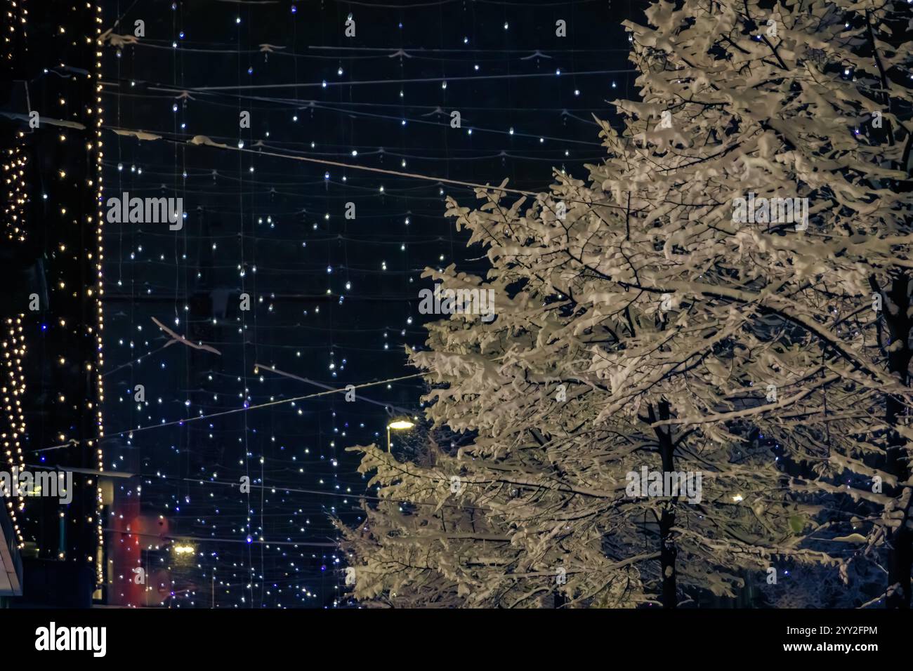 Iconic Lucy lights illuminate Bahnhofstrasse in Zurich, Switzerland ...