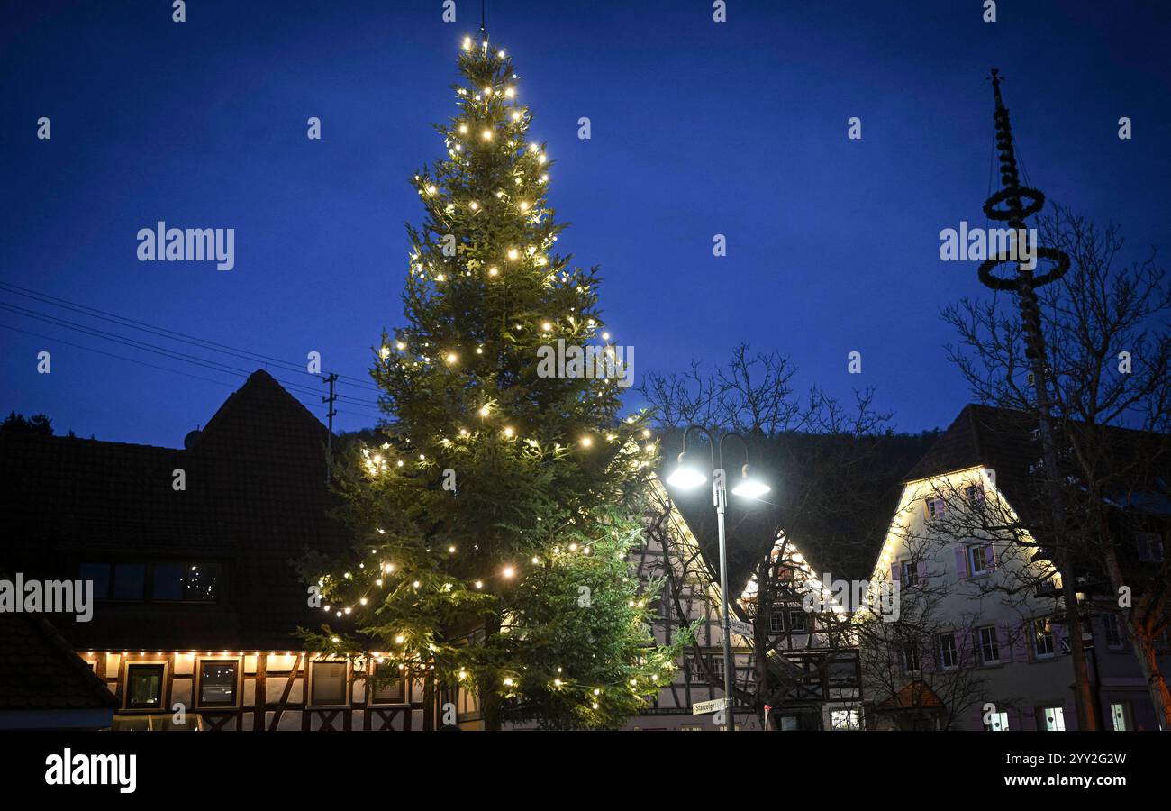 Rottenburg - Bieringen Kreis Tuebingen 18.12.2024 Schmuckbild ...