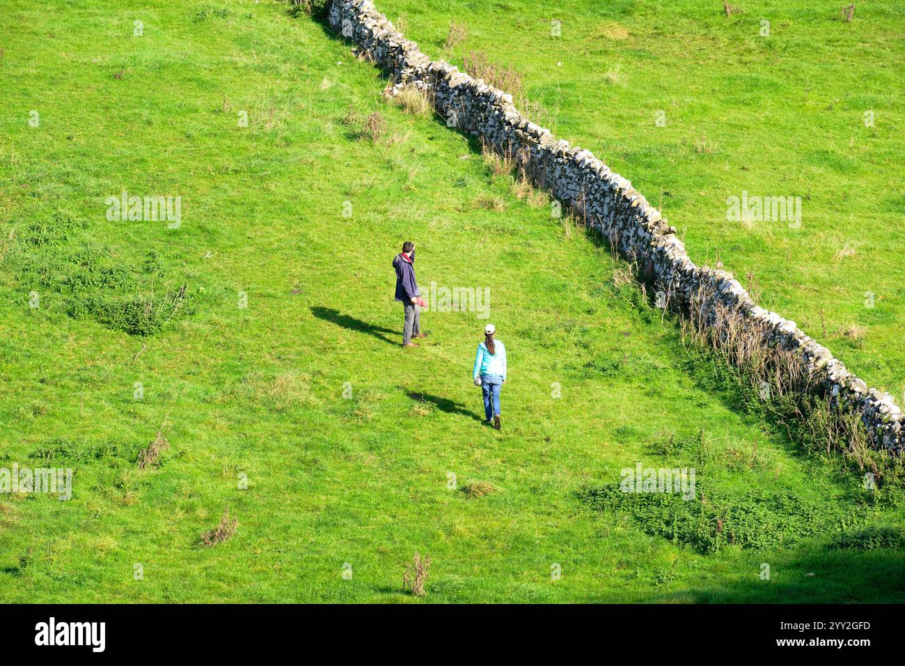 Dry stone walls in a rural farm field Stock Photo - Alamy